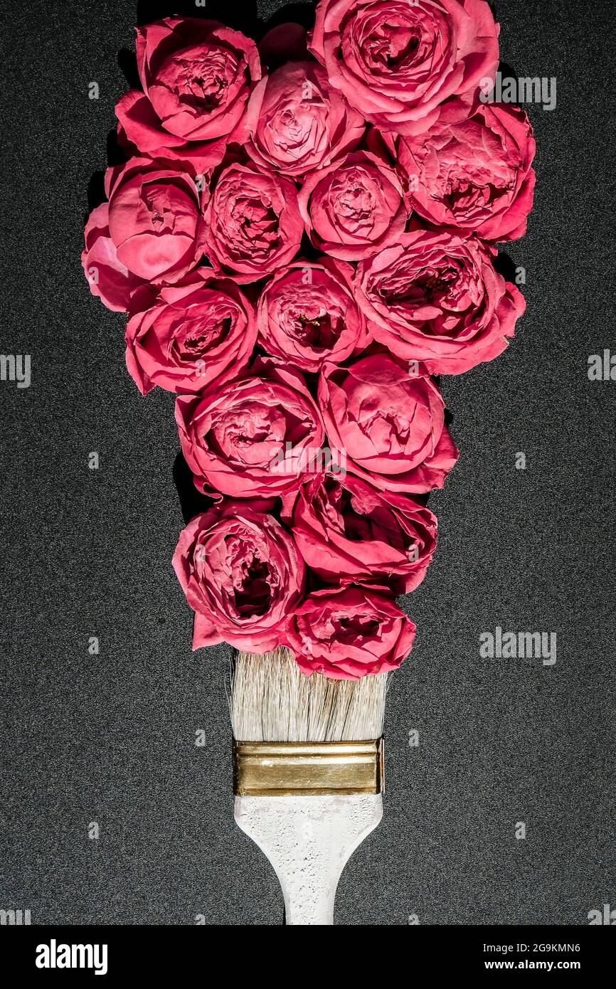 Paint brush drawing with pink flowers on black background. The concept ...
