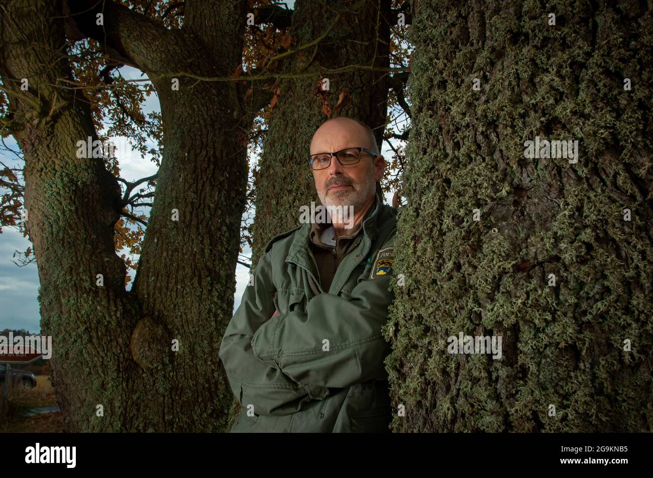 Hidden Life Of Trees High Resolution Stock Photography and Images - Alamy