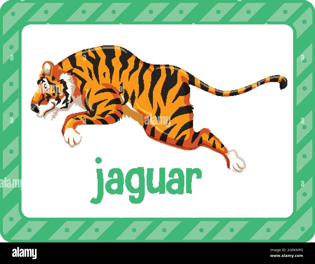 Vocabulary flashcard with word Jaguar illustration Stock Vector Image ...