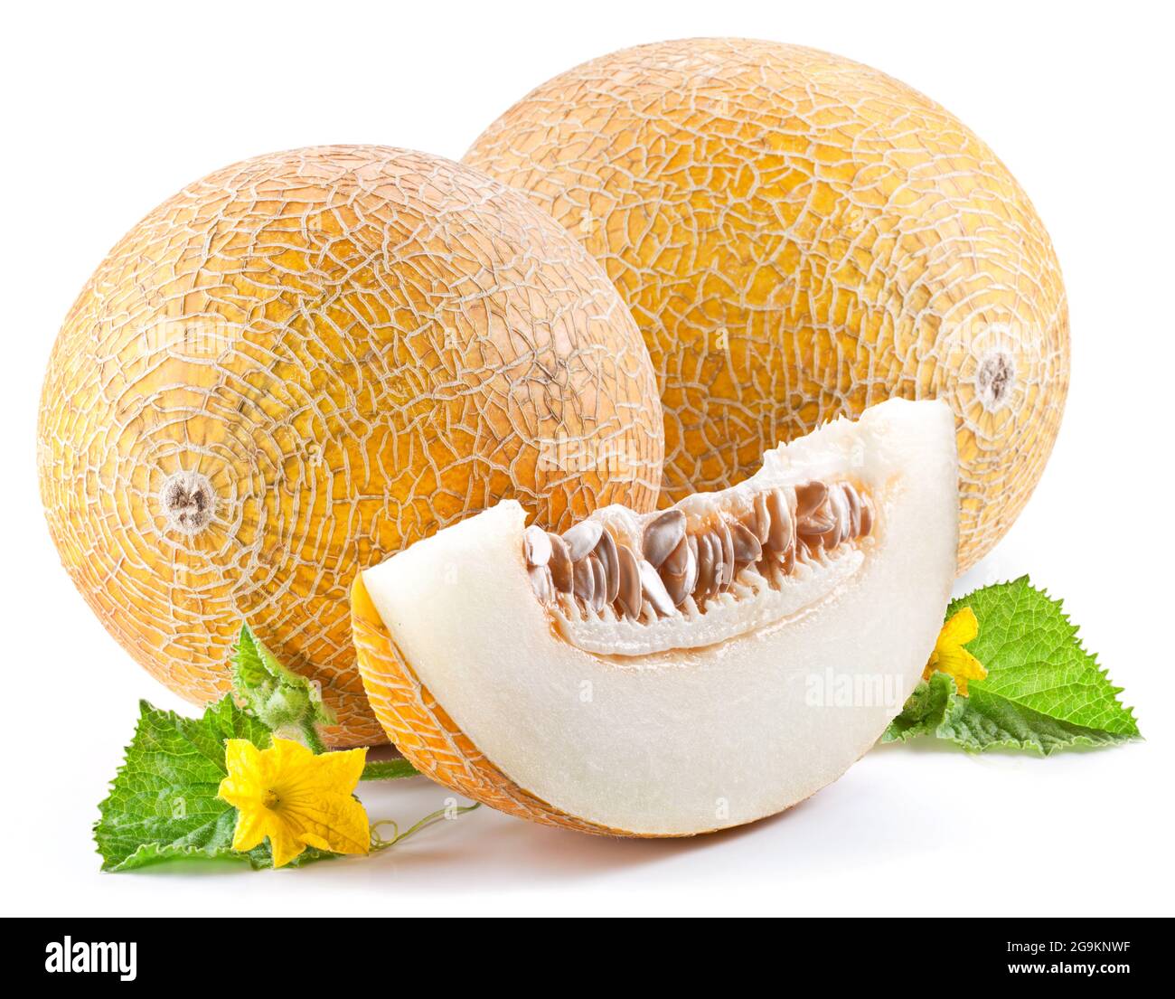 Ripe yellow melon with slices and melon leaves isolated on white ...