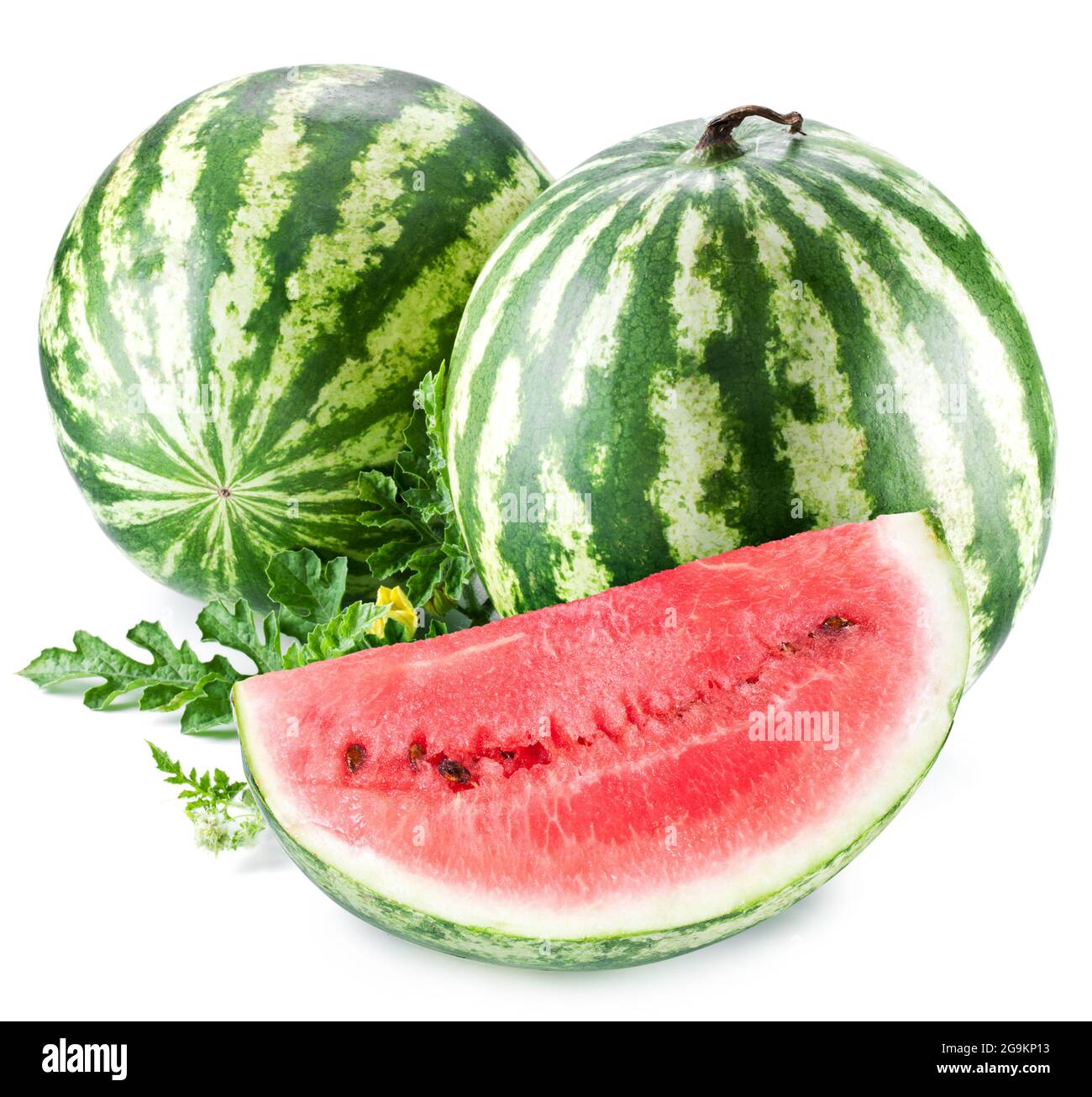 Watermelon leaves hi-res stock photography and images - Alamy