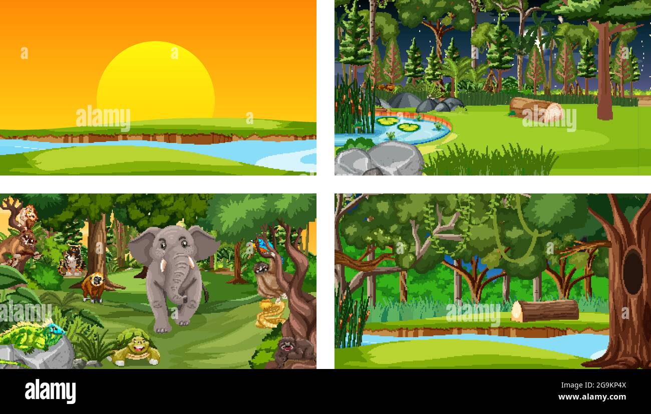 Different nature scenes of forest and rainforest with wild animals ...