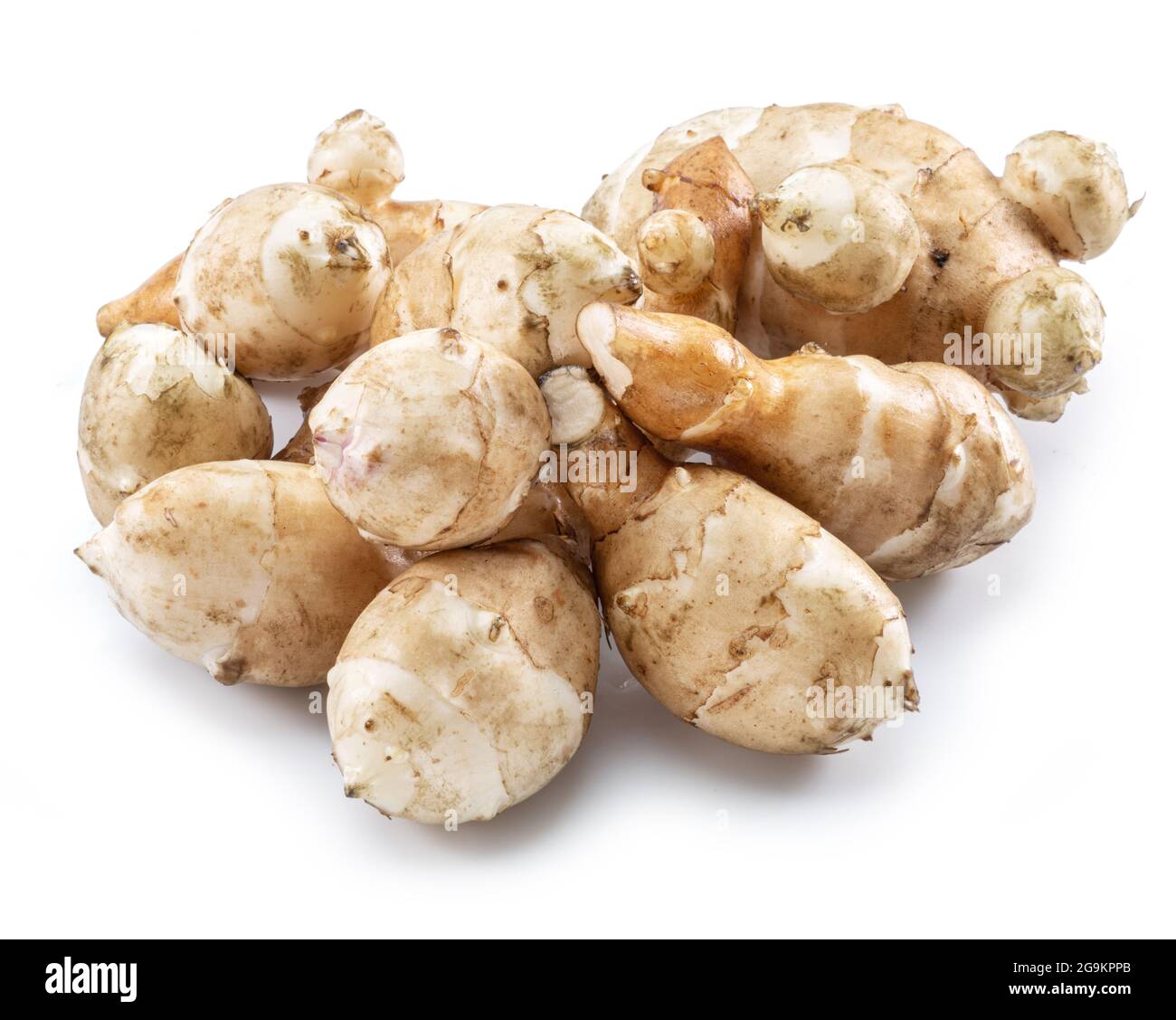 Jerusalem artichoke roots isolated on white background Stock Photo - Alamy