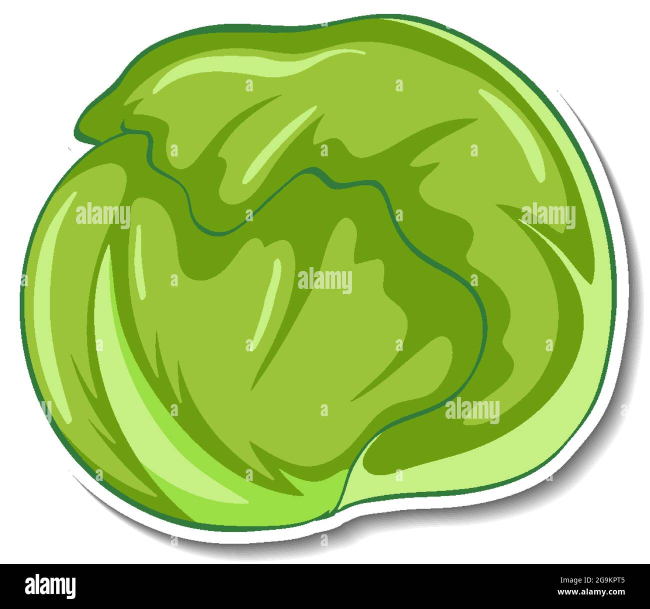 Cabbage sticker on white background illustration Stock Vector Image ...