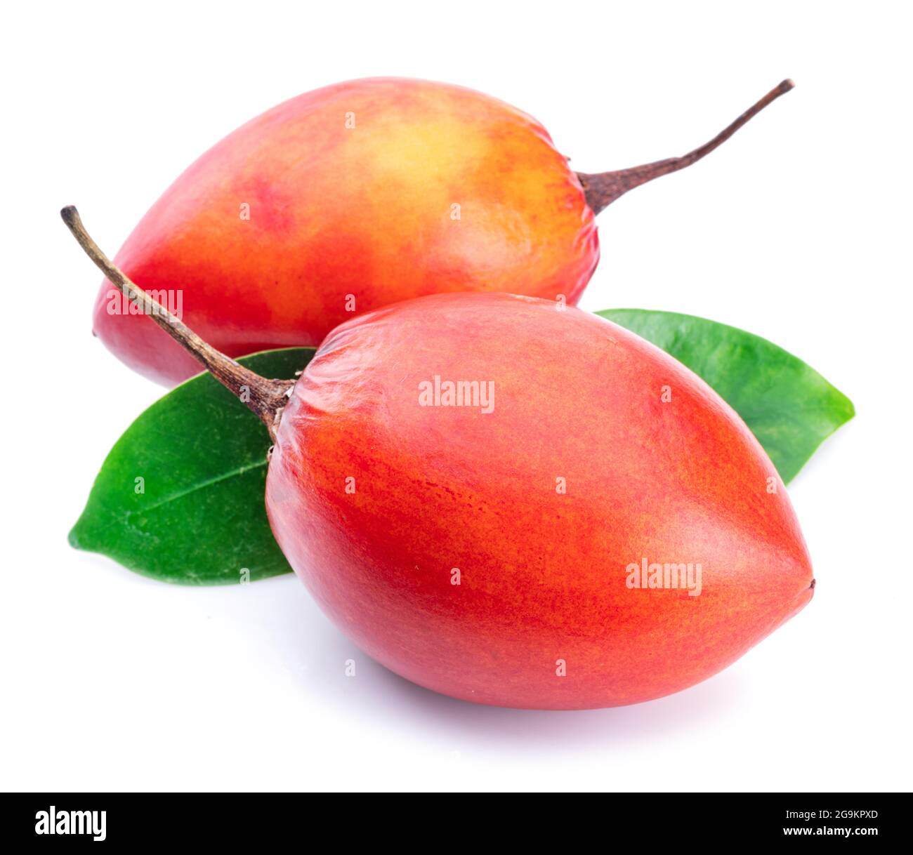 Two ripe tamarillo fruits with tamarillo leaves isolated on a white ...