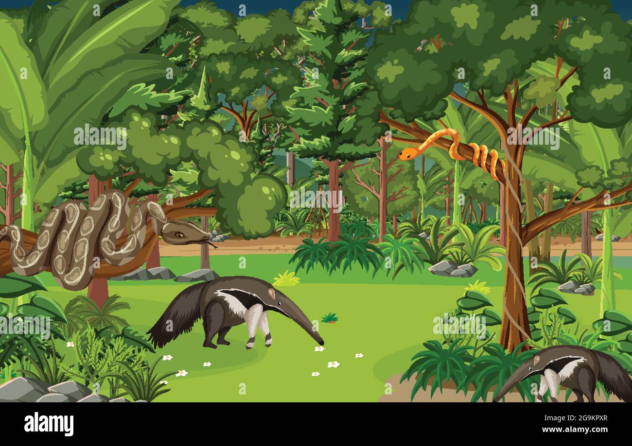 Tropical rainforest scene with various wild animals illustration Stock ...