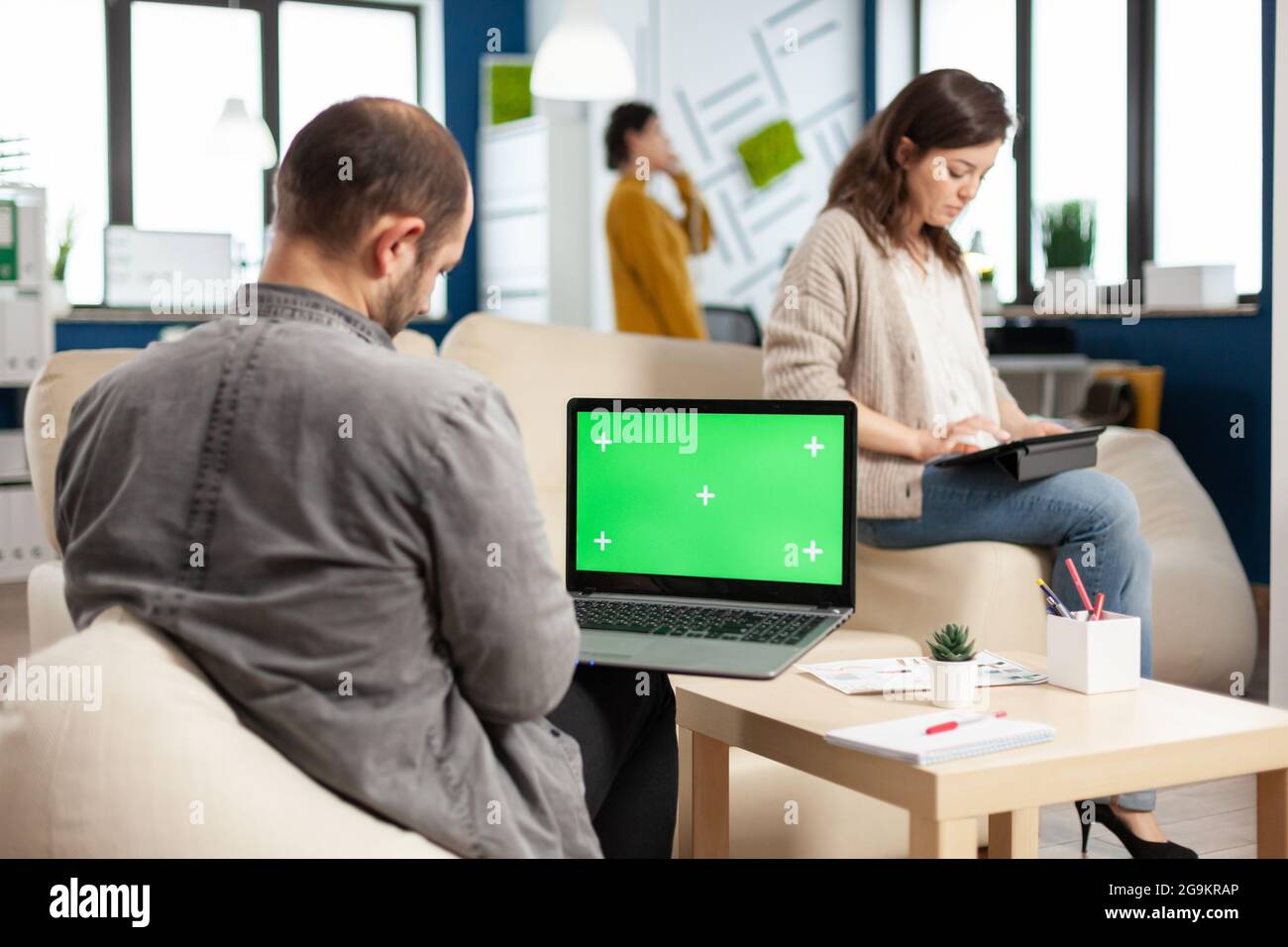 Back view of business man sitting on couch using laptop with green ...