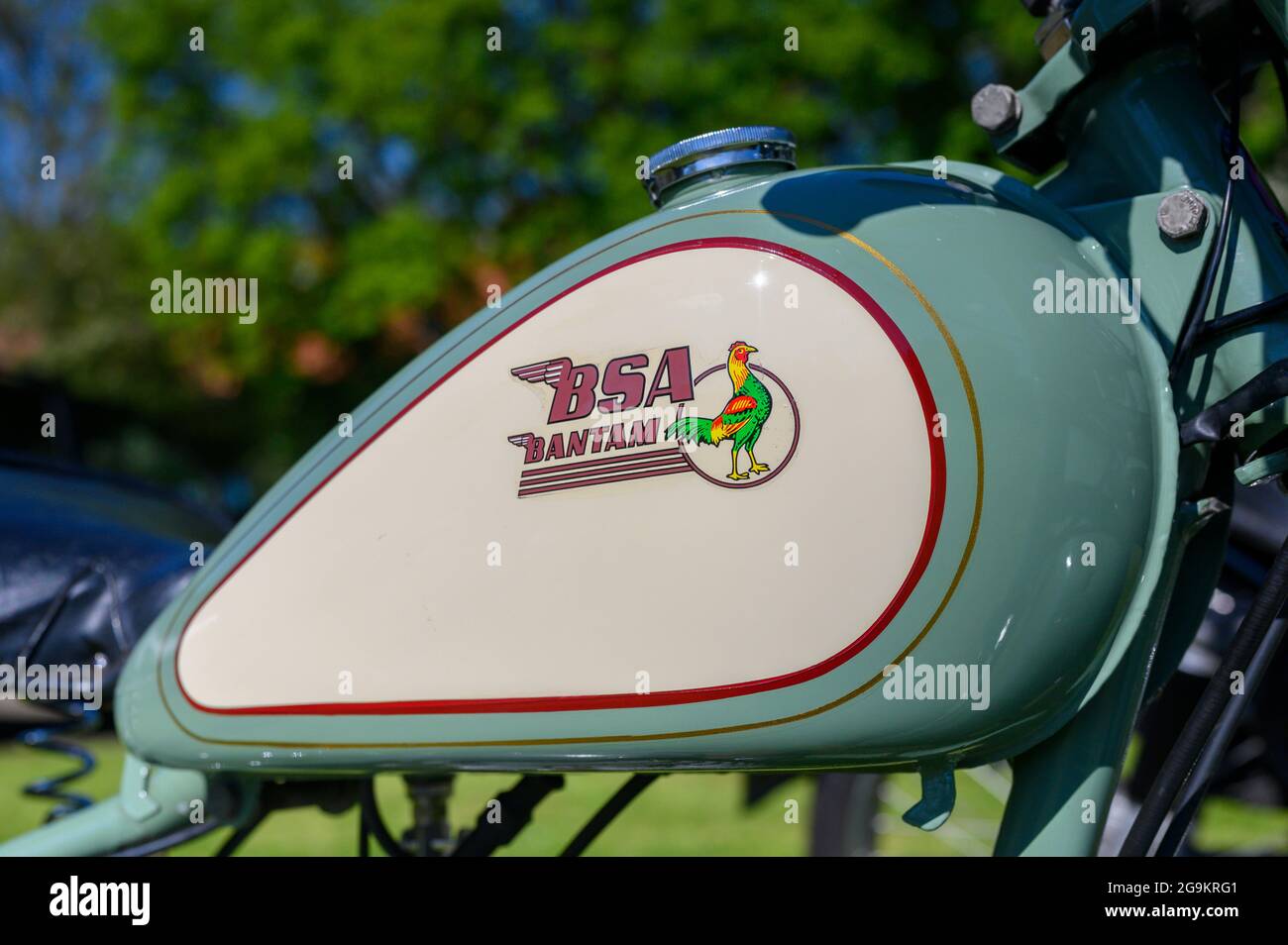 The 1955 D1 125cc BSA Bantam Motorcycle in original Mist Green colour ...