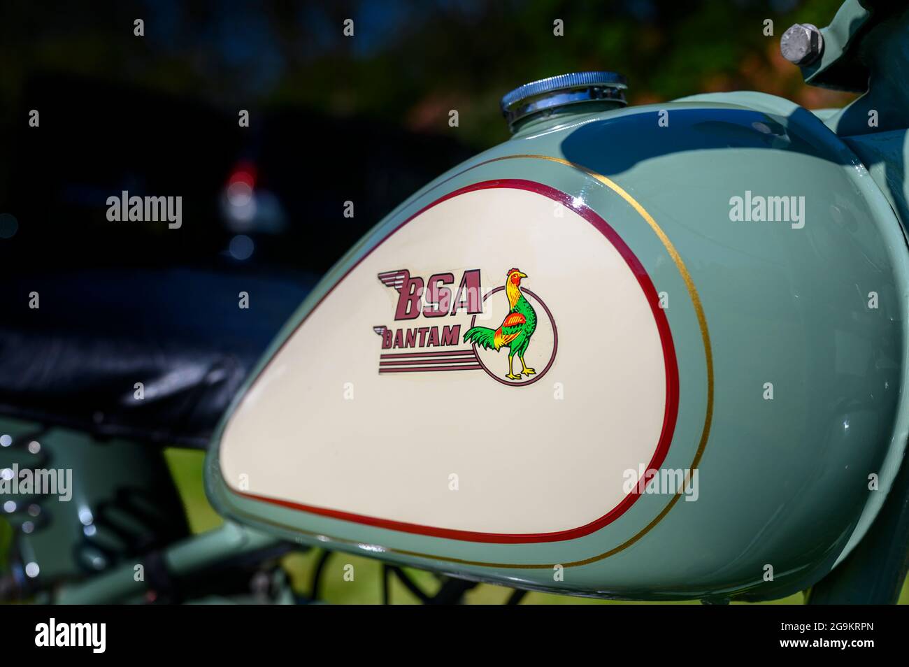 The 1955 D1 125cc BSA Bantam Motorcycle in original Mist Green colour ...