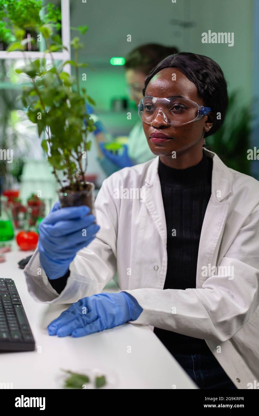 Tomato an keyboard hi-res stock photography and images - Alamy