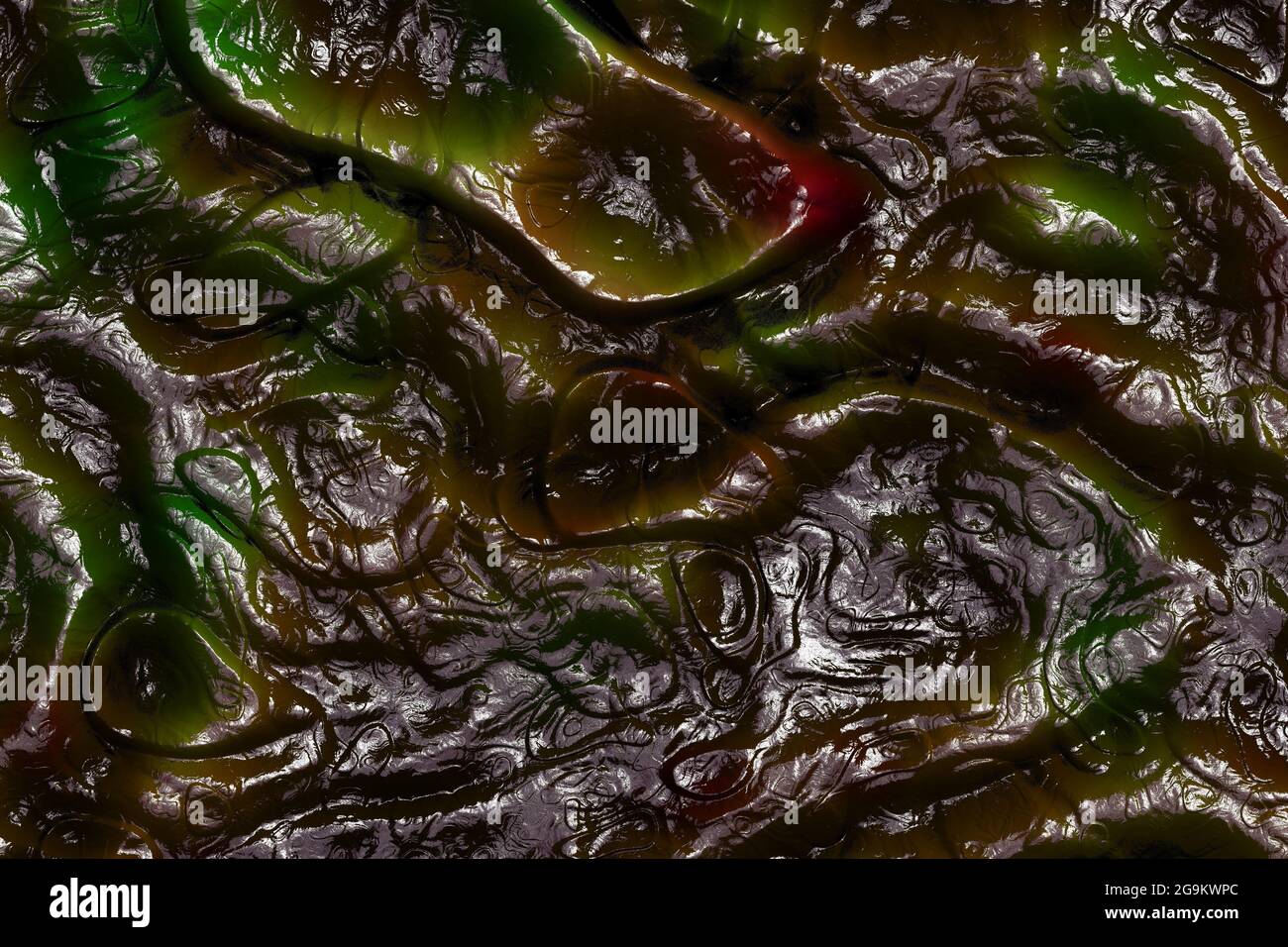 creative beautiful bio creepy relief digitally drawn background ...