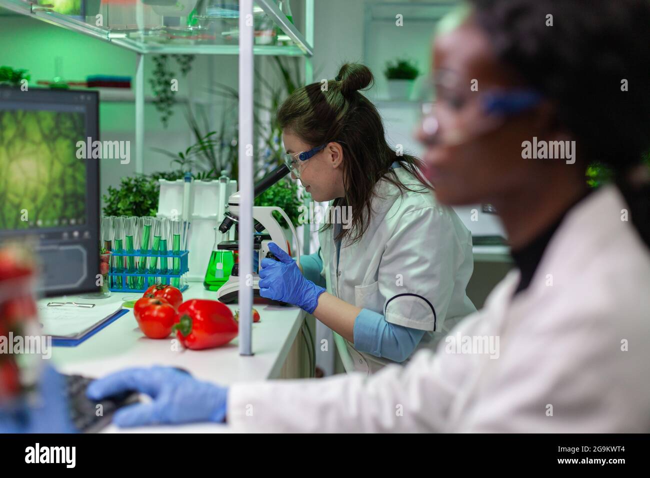 Health chemist checking sample of vegan meat looking through microscope ...