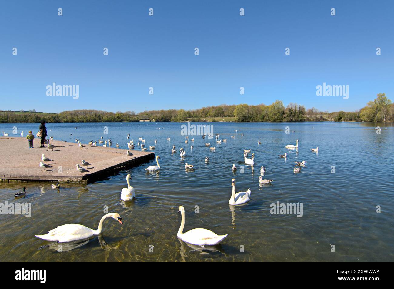 Cosmeston lakes hi-res stock photography and images - Alamy