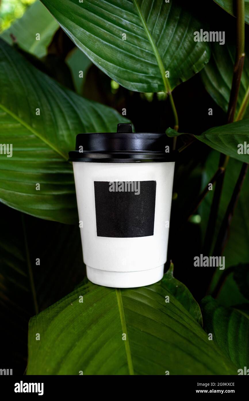 Beautiful greeting cards in row hi-res stock photography and images - Alamy