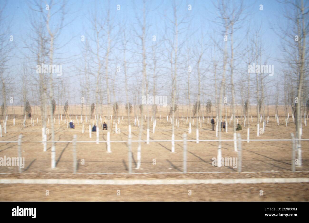 Auf dem Weg zum Yonghe Tempel in Peking, China 1998. On the way to ...