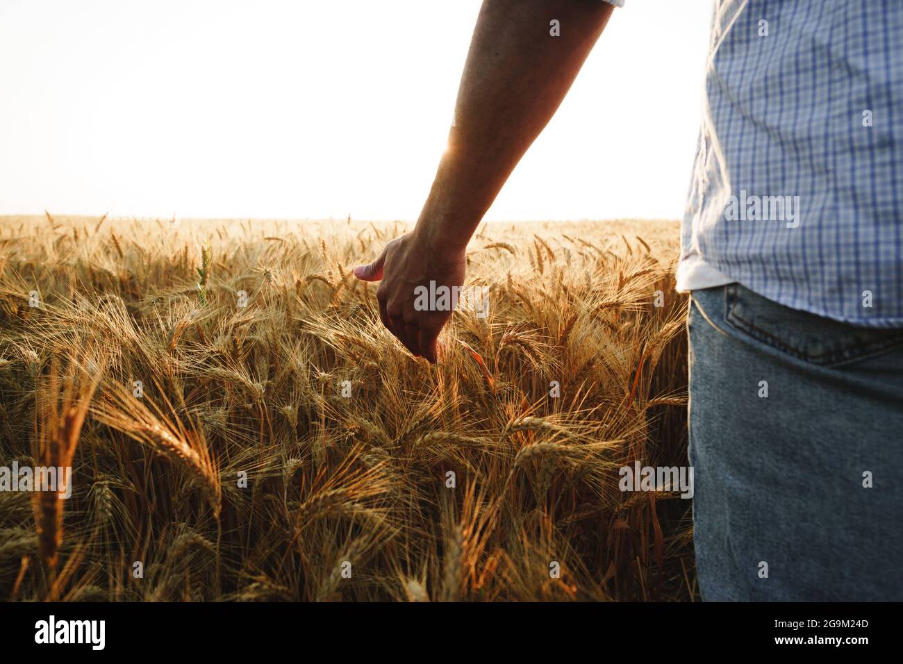 Close up man field touching ears hi-res stock photography and images ...