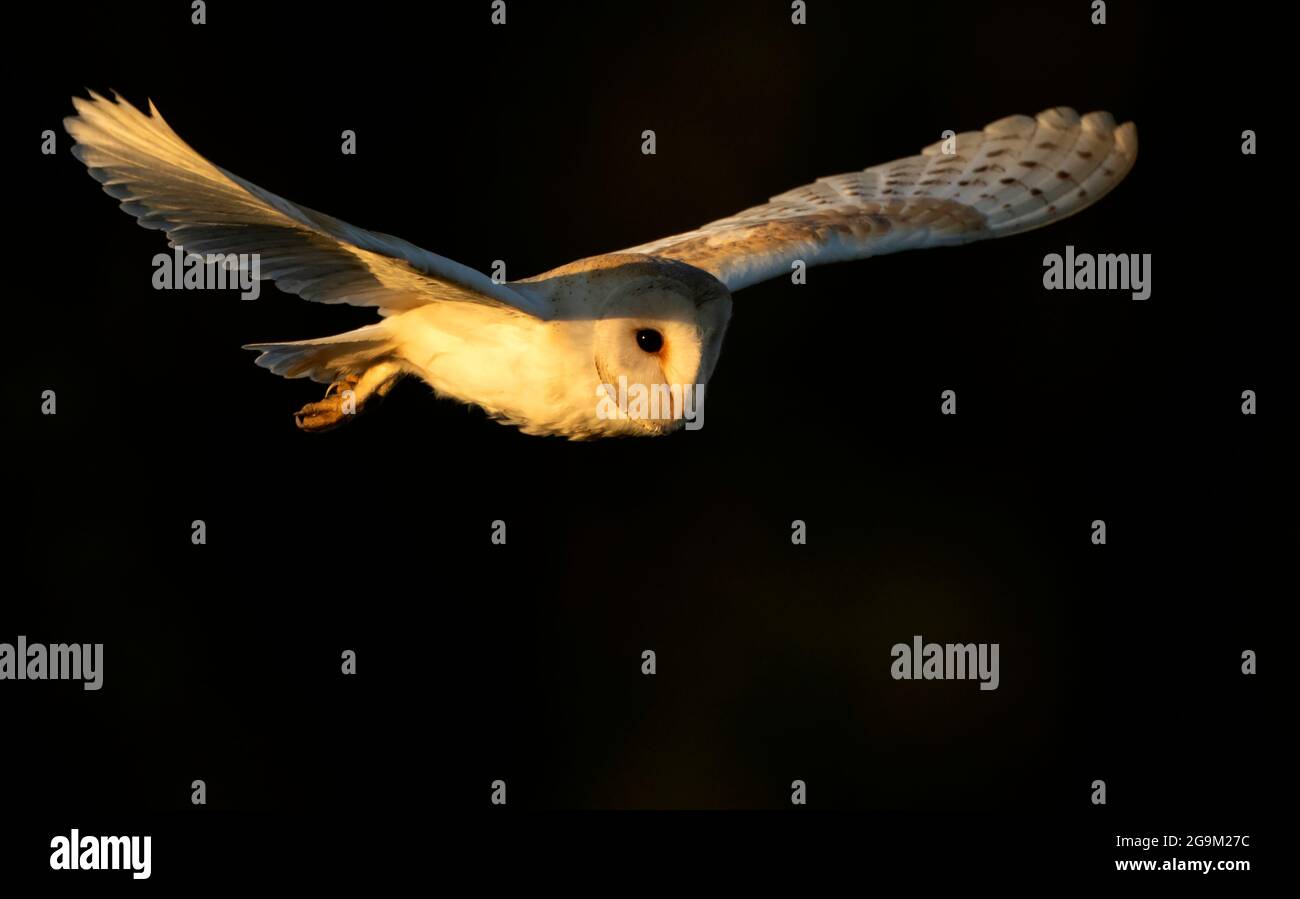 English countryside barn sunset hi-res stock photography and images - Alamy