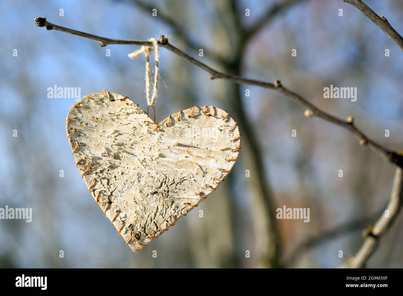 Tree branch with heart decoration on nature background Stock Photo - Alamy