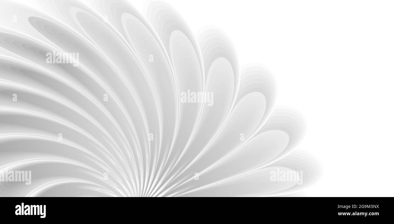Abstract background with white 3d flower on wind, soft texture, cover ...