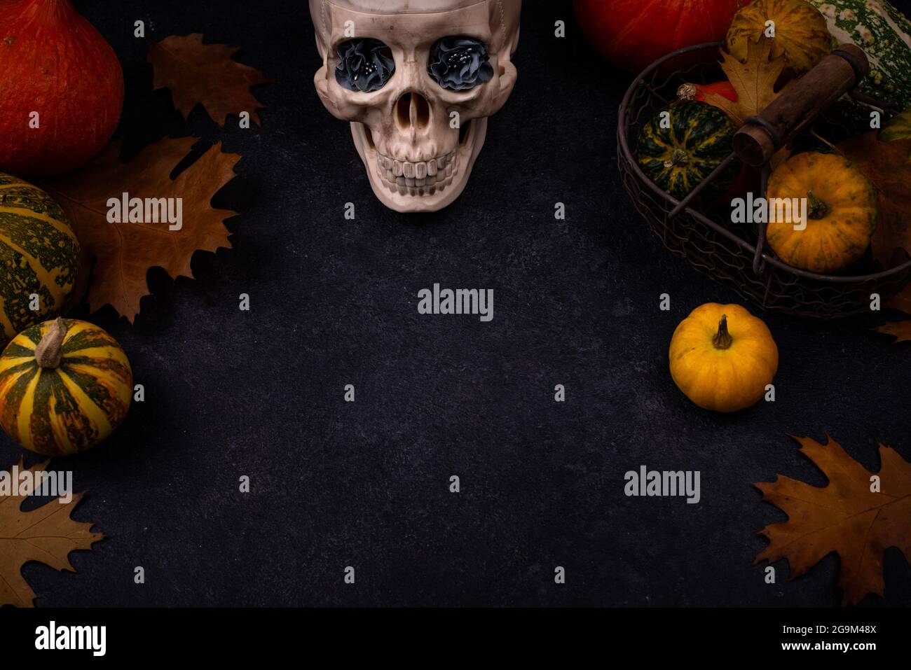 Halloween autumn background with skull Stock Photo - Alamy