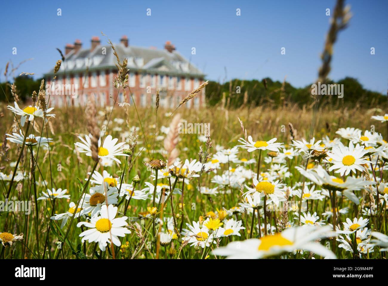 Harting history hi-res stock photography and images - Alamy