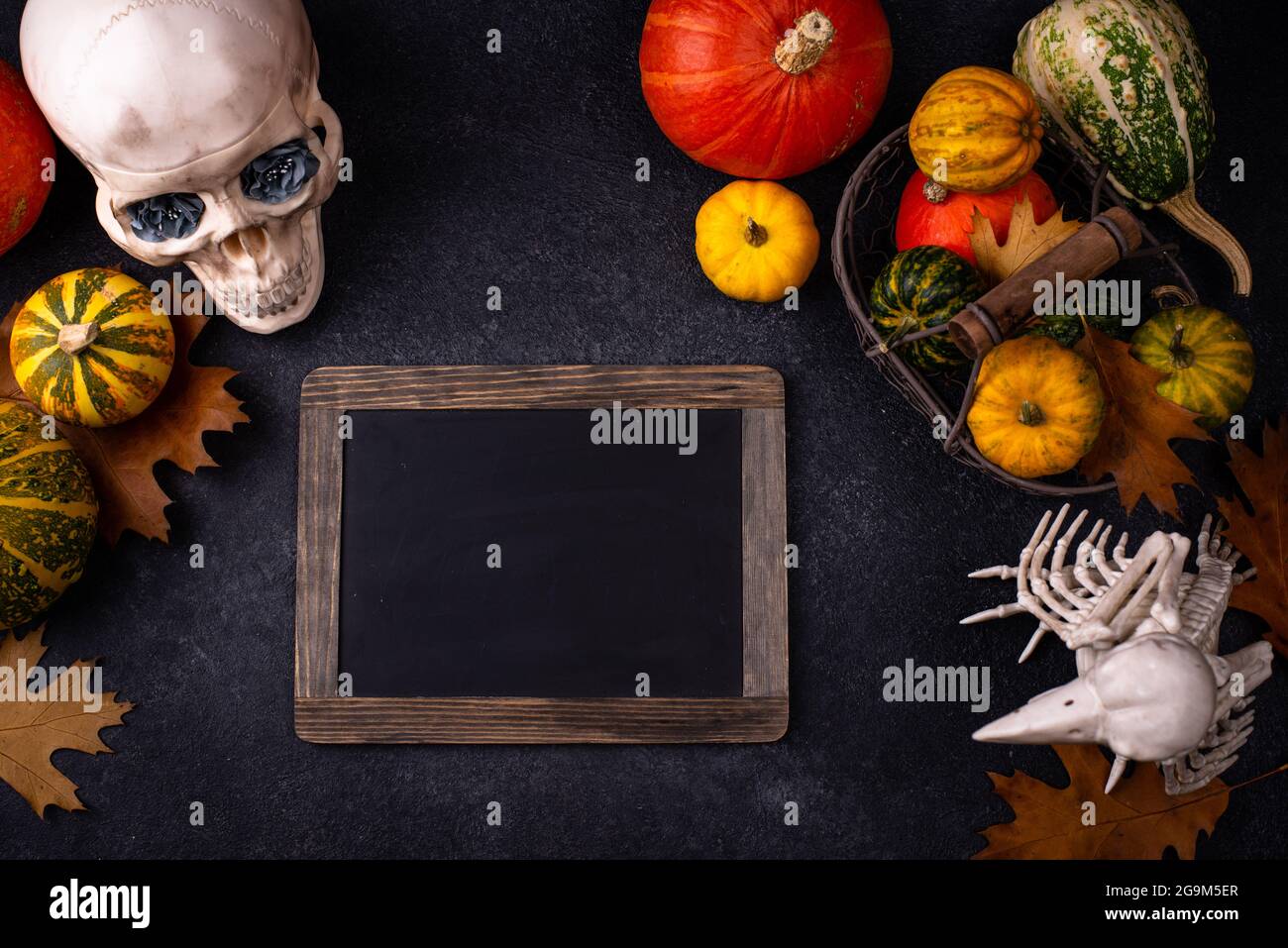 Halloween autumn background with skull Stock Photo - Alamy