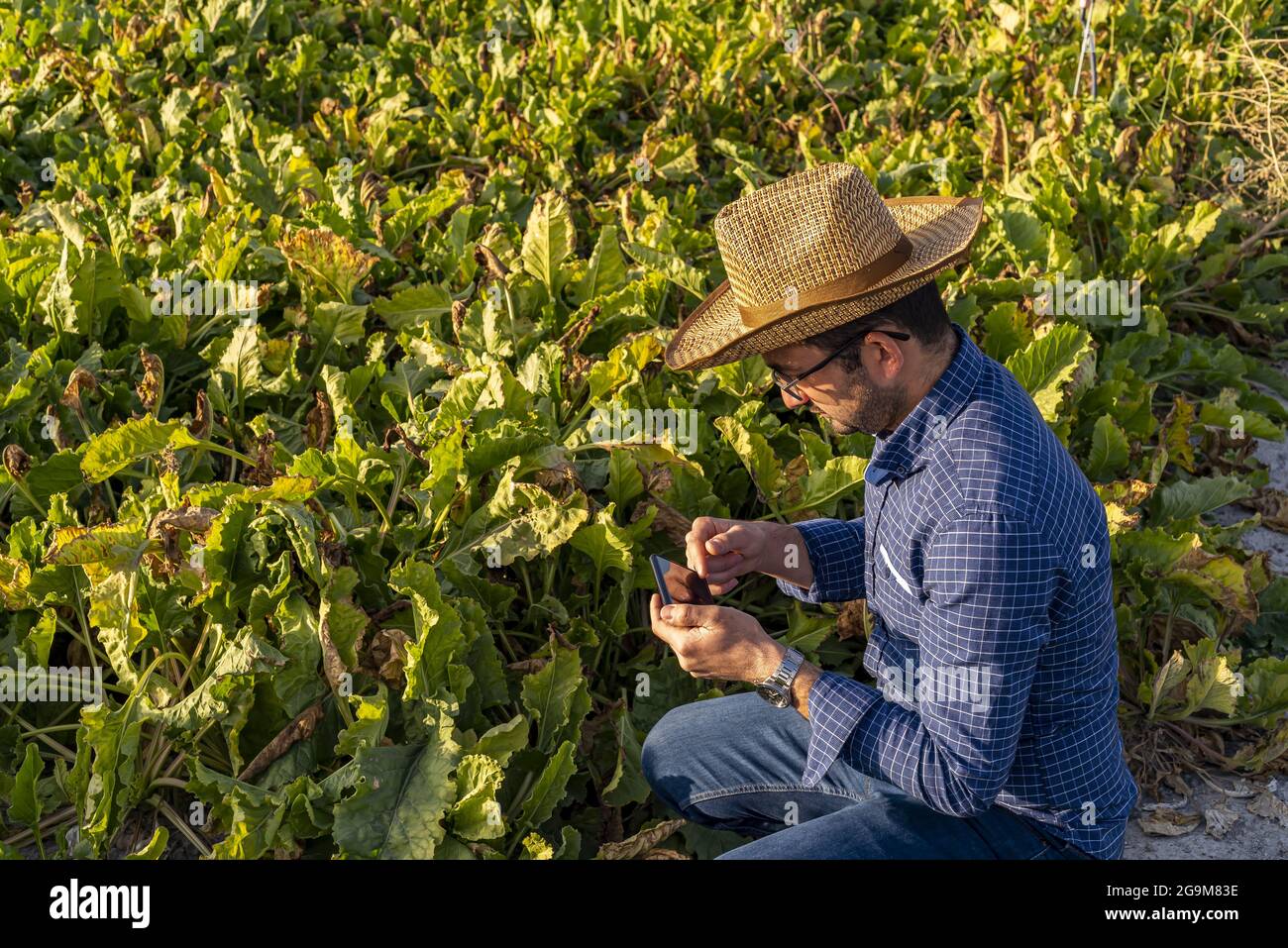 Organic technologies hi-res stock photography and images - Alamy