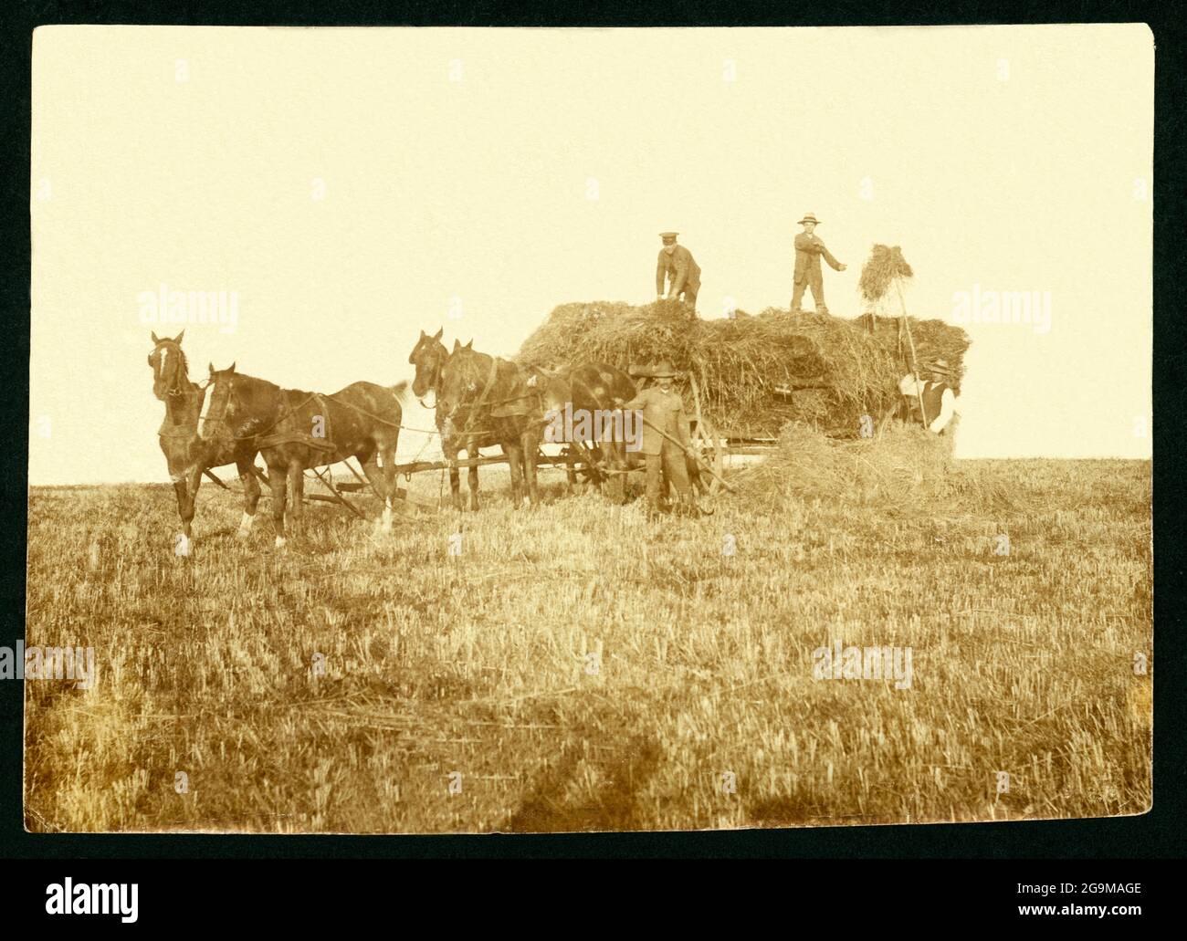 Horse drawn hay cart hi-res stock photography and images - Alamy