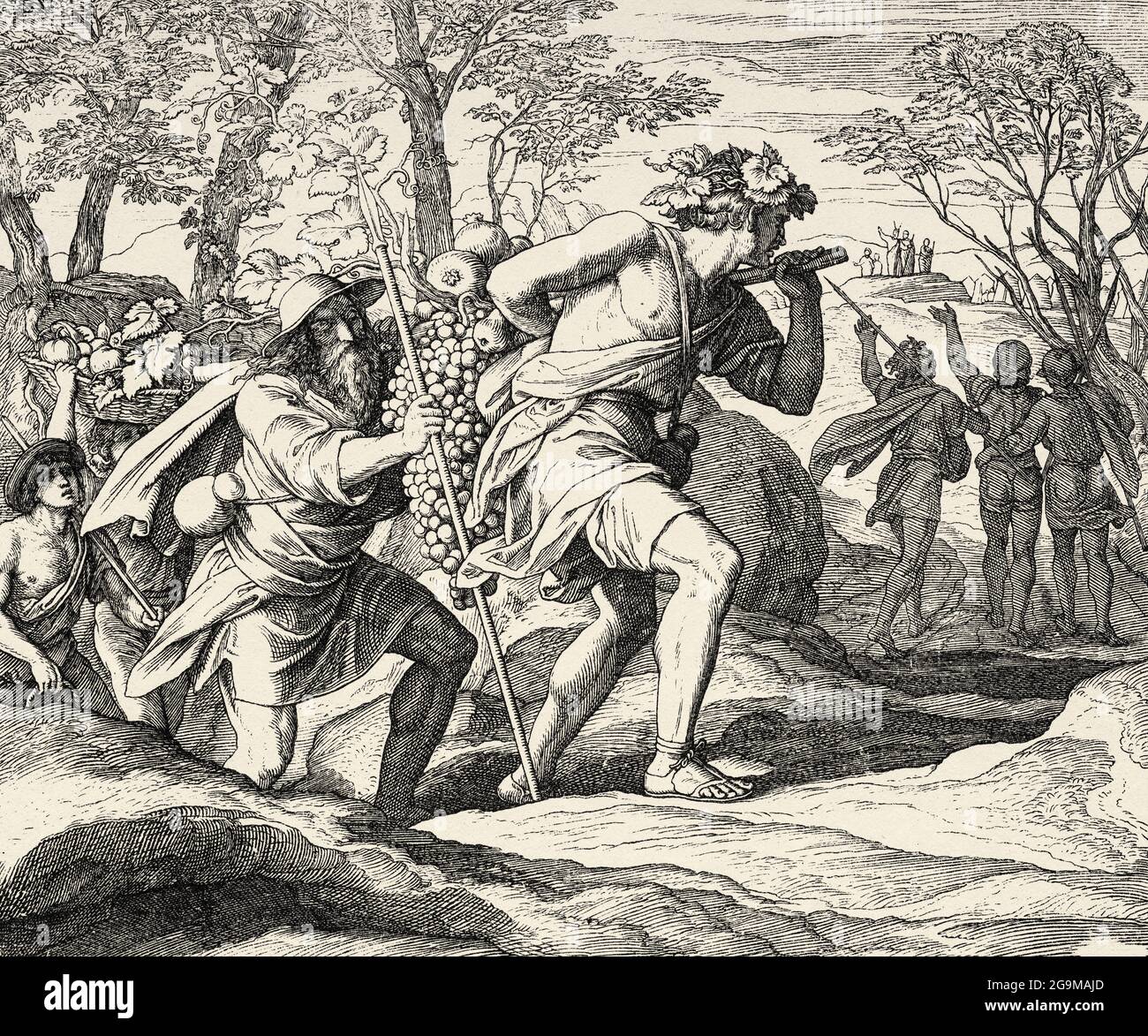 The twelve Israelite spies came to the valley of Escol and cut a branch ...