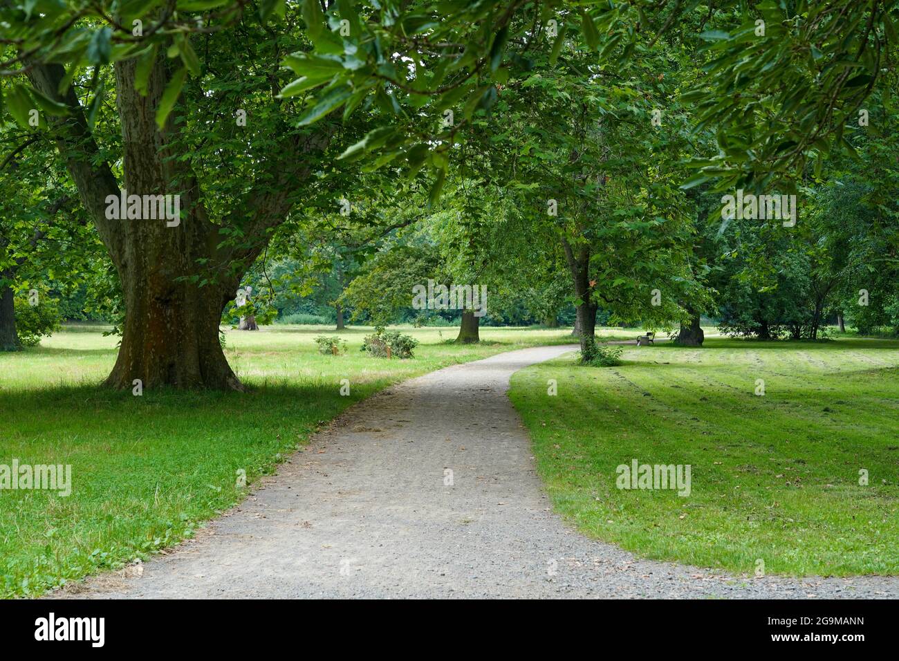 22 July 2021, Saxony, Leipzig: Groups of trees and paths in the former ...