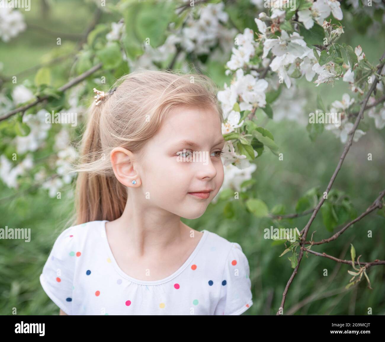 Little adorable girl among the blossoming tree in apple garden Stock Photo - Alamy