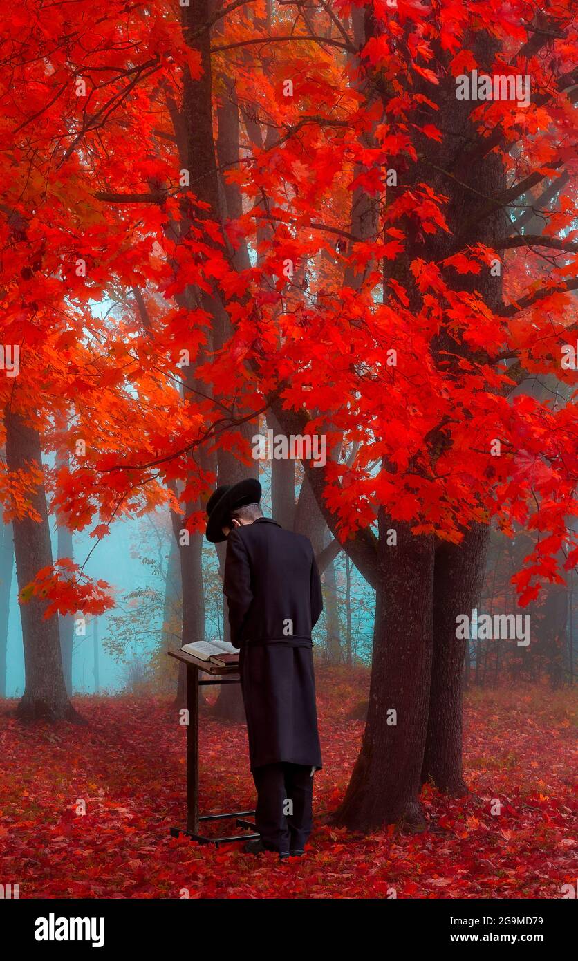 Hassidic jew in prayer hi-res stock photography and images - Alamy