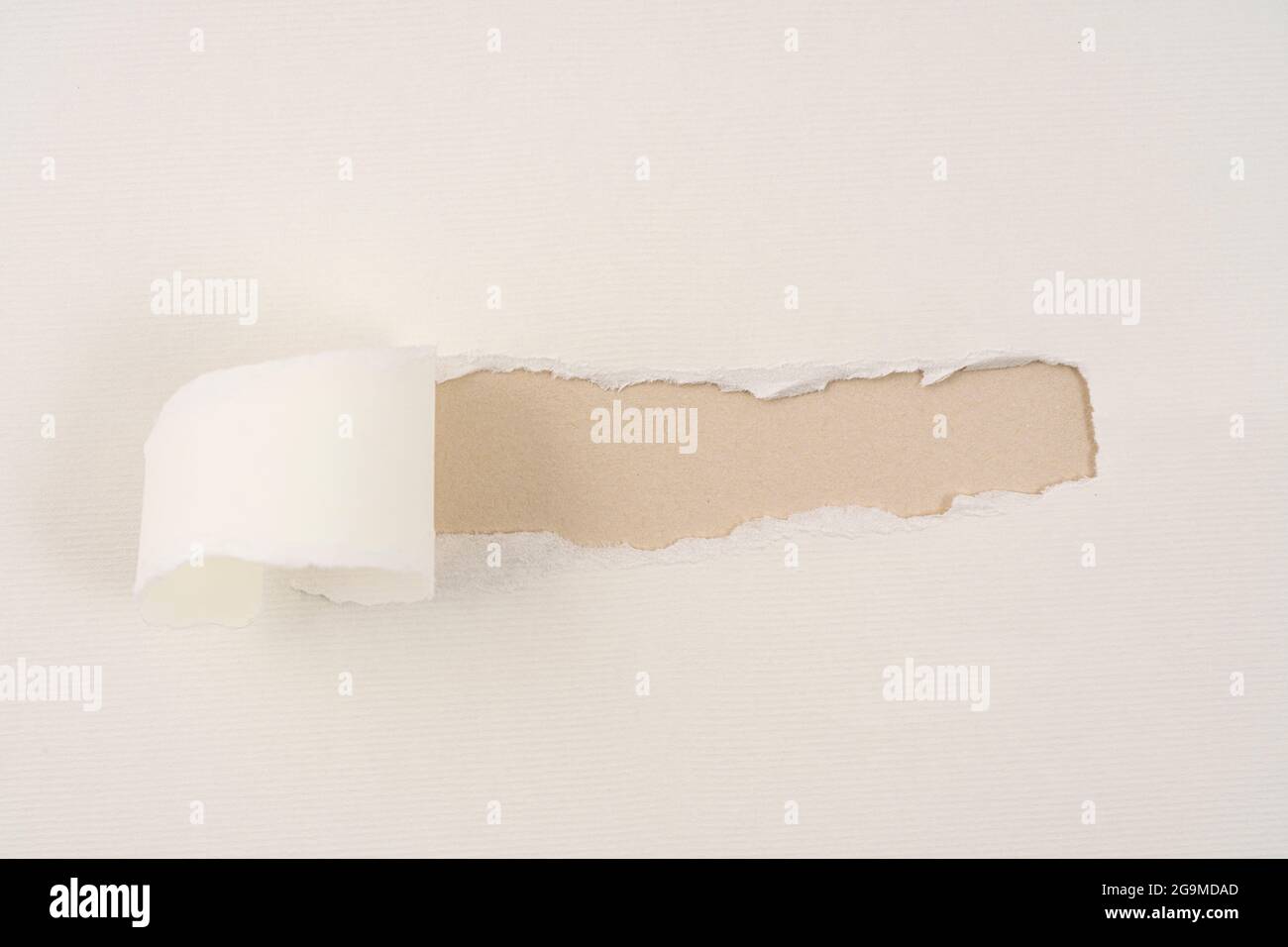a strip torn from a cardboard that leaves room for an inscription Stock ...