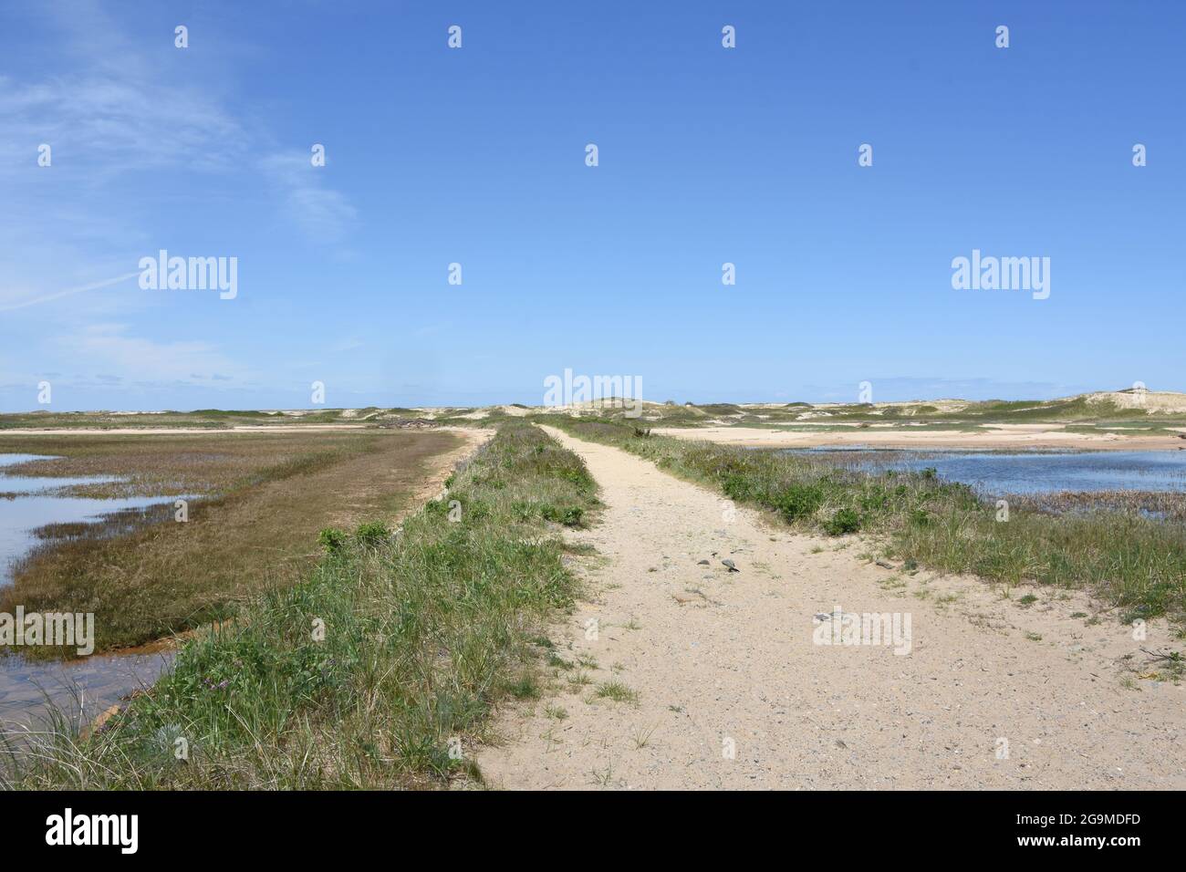 Hiking path over tidal marsh and wetlands Stock Photo - Alamy