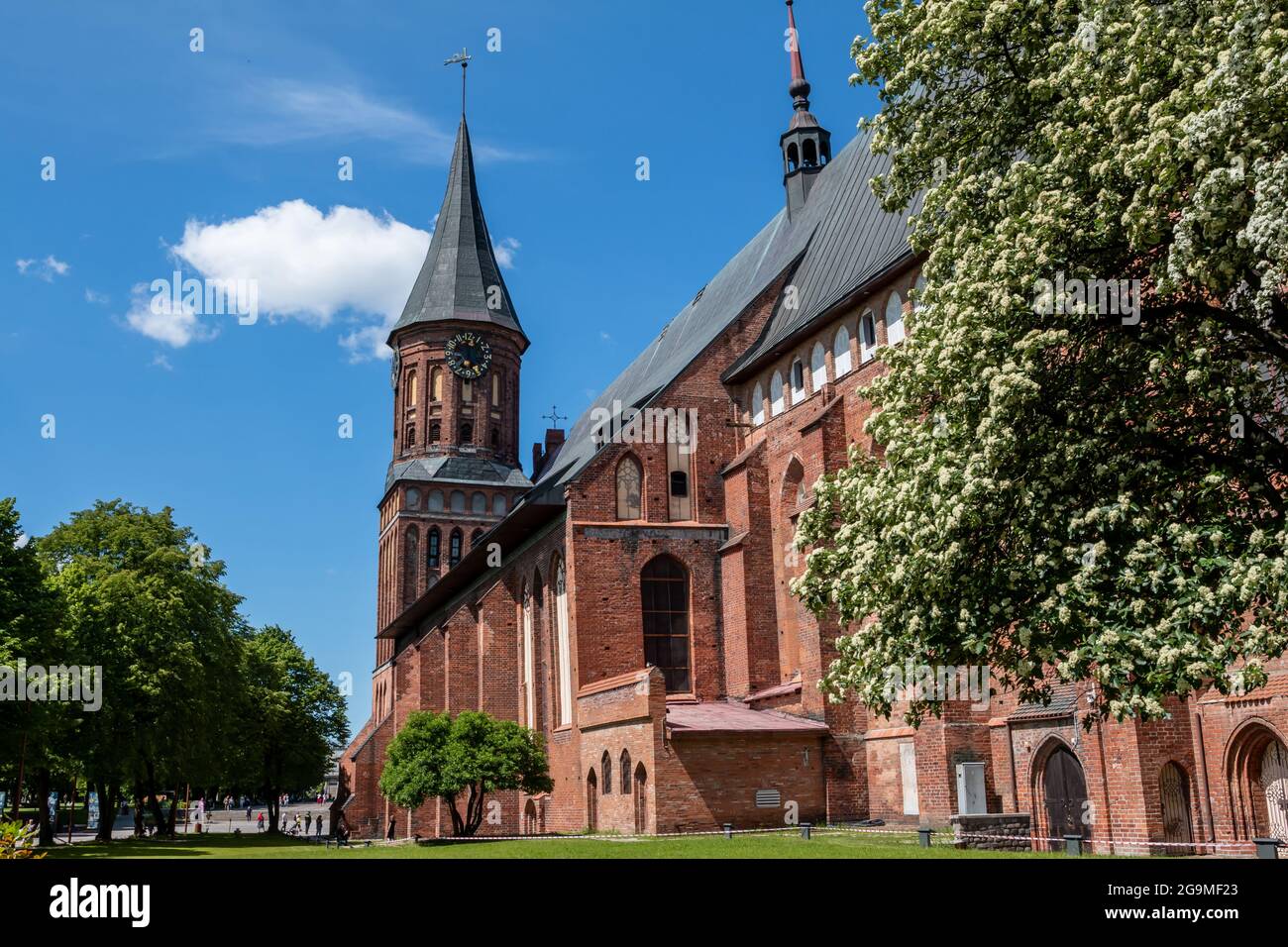 Konigsberg castle hi-res stock photography and images - Alamy