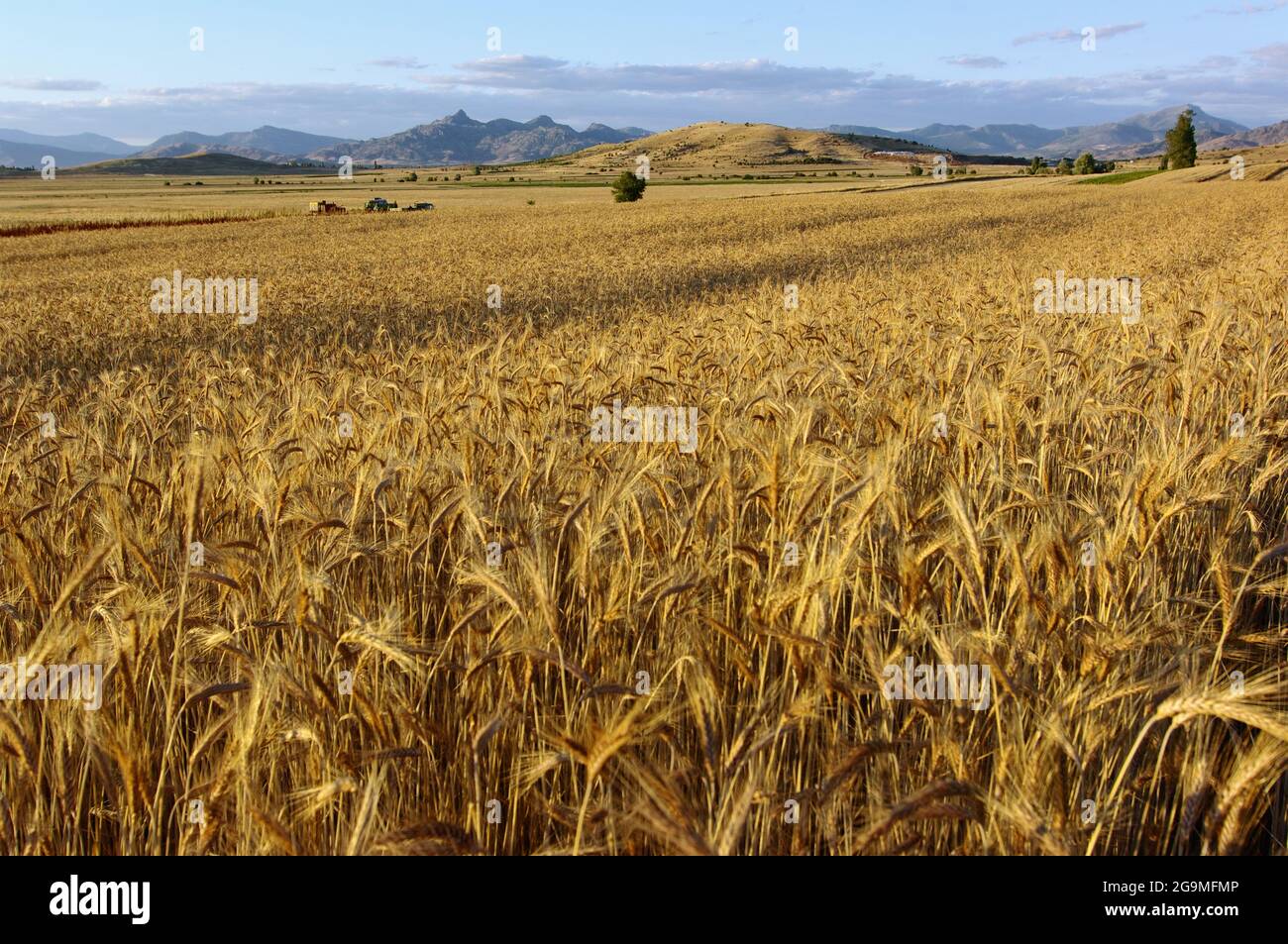 Farmland farm farming agriculture agricultural land balkan hi-res stock ...