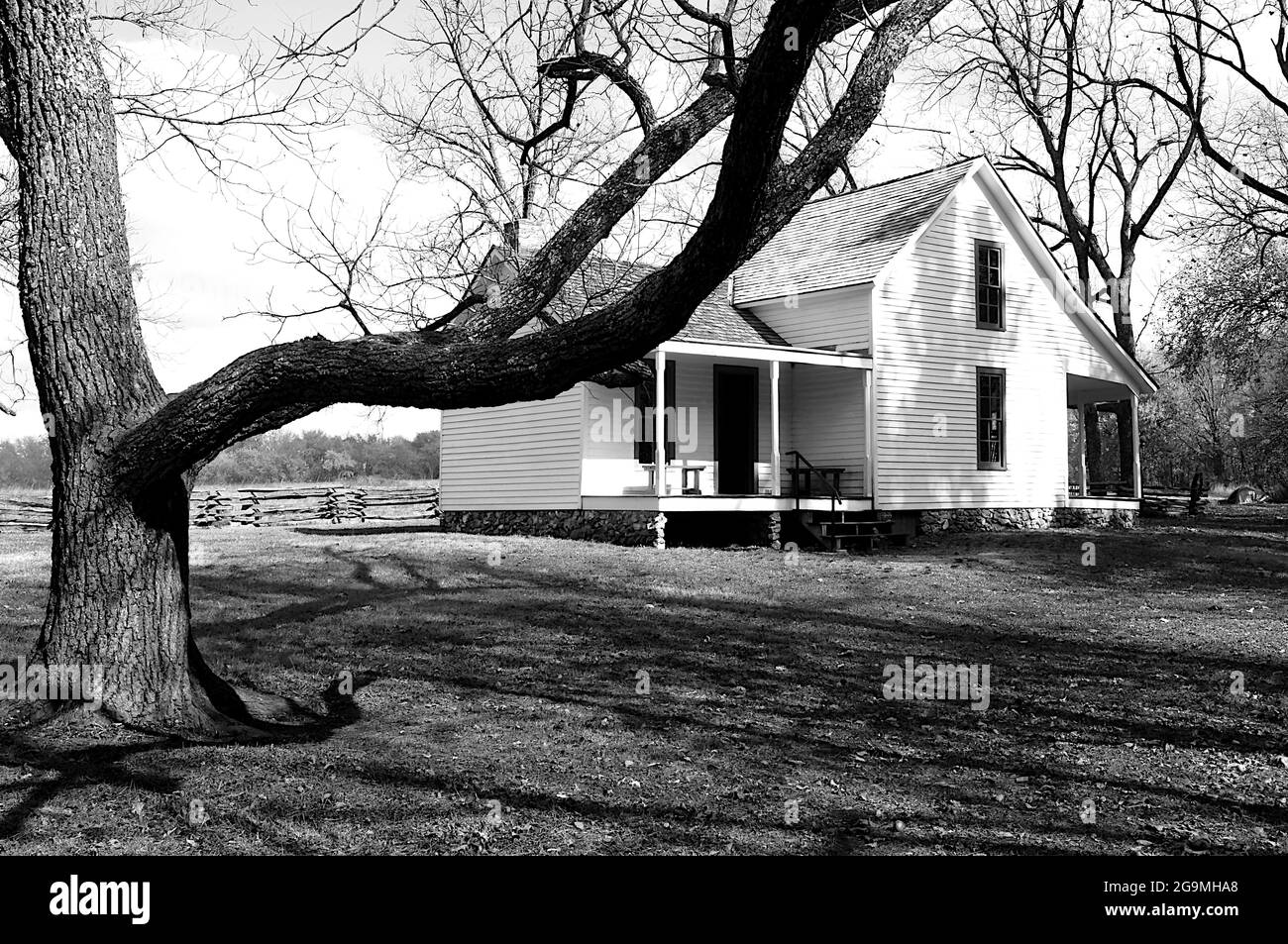 Old home and Oak Tree Stock Photo - Alamy