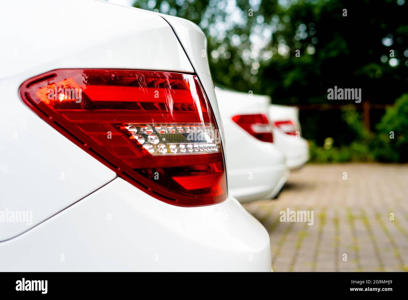 the back of white cars standing in a row Stock Photo - Alamy