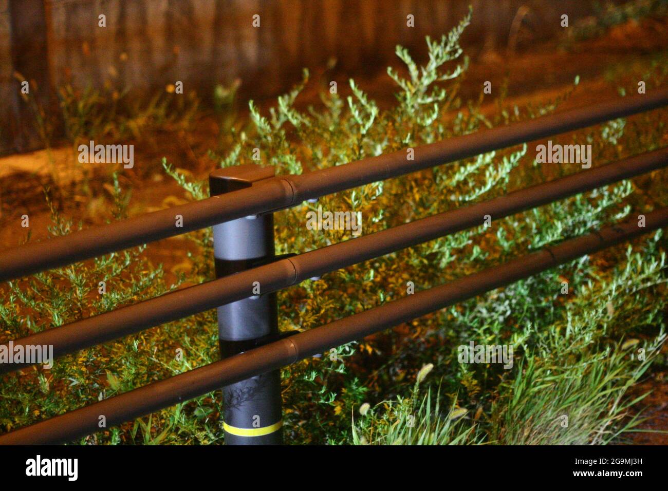 Midnight Roadside Weeds Stock Photo - Alamy
