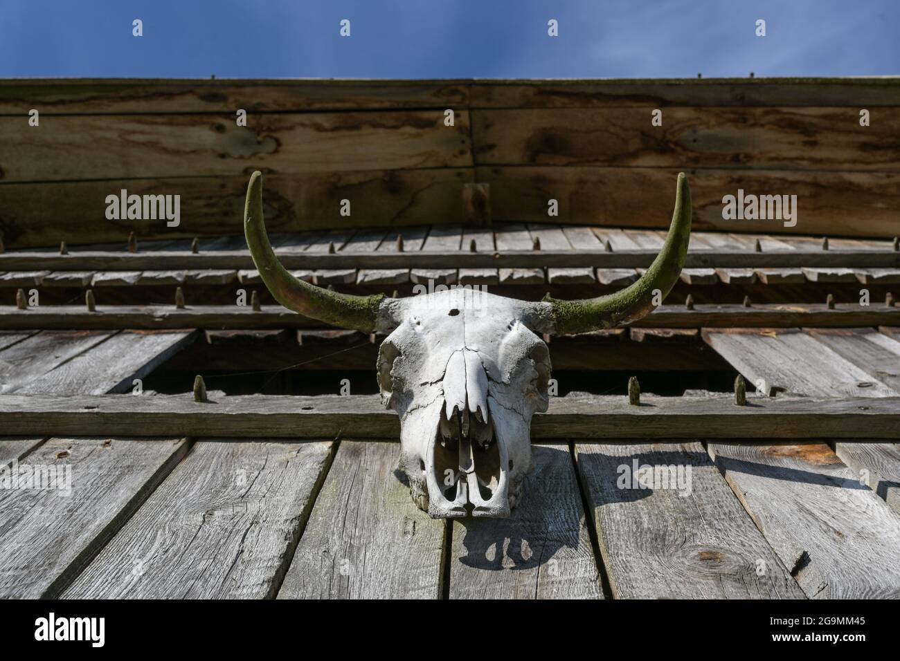 Viking house hi-res stock photography and images - Alamy