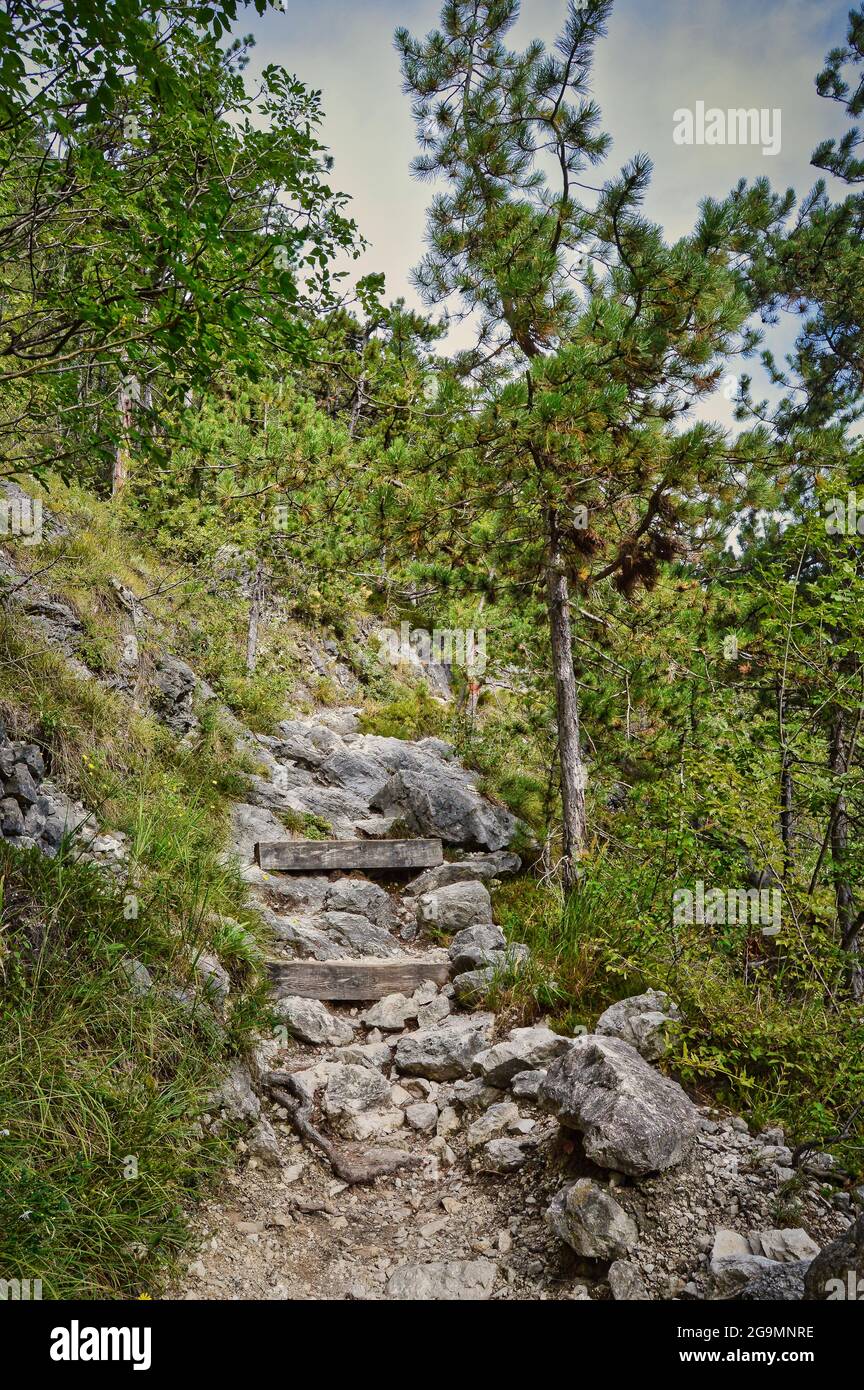 ancient hiking path in the woods, Italy, Monte Rocchetta, Bastione ...