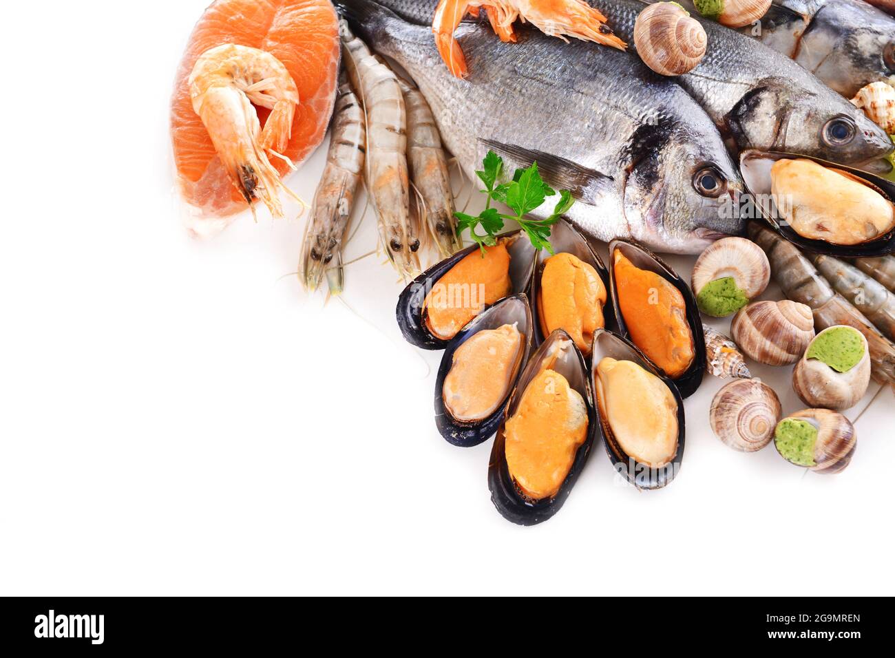 Fresh fish and other seafood isolated on white Stock Photo - Alamy