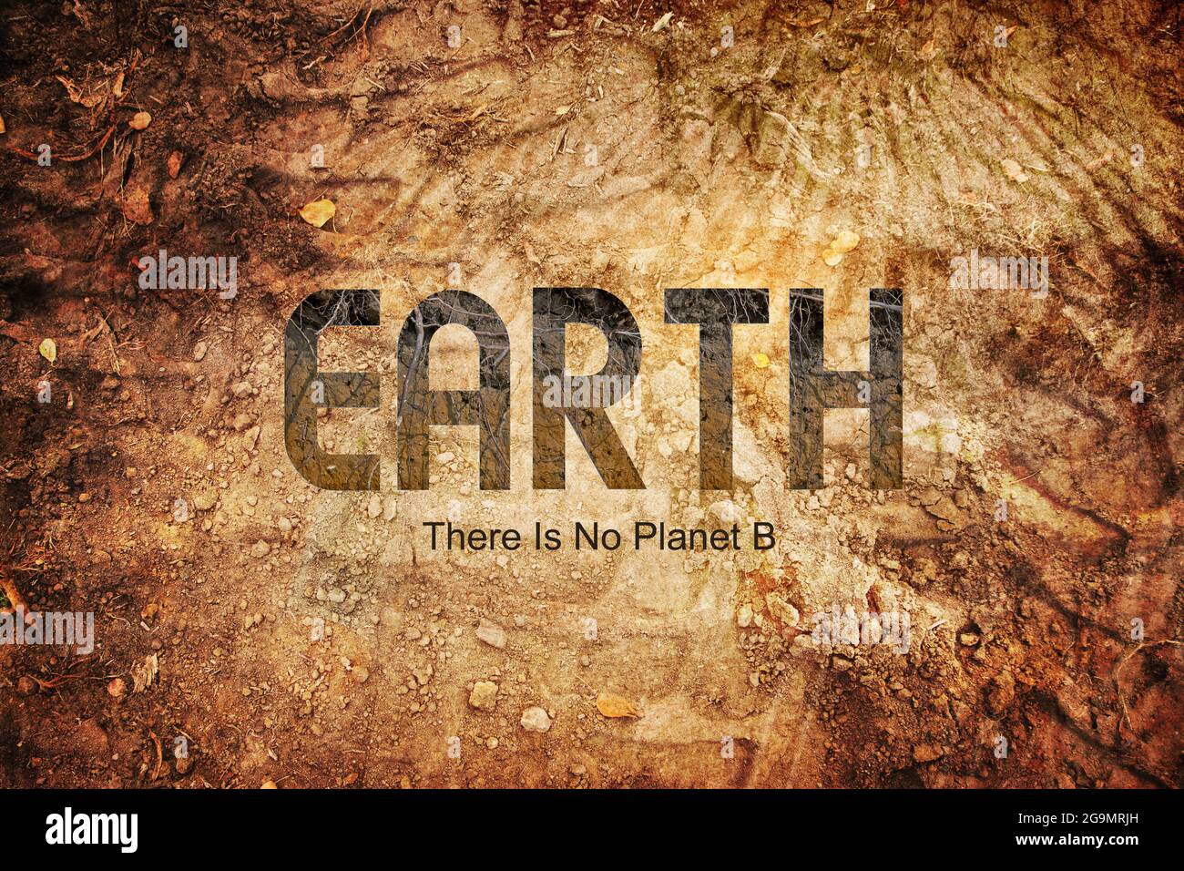 Inscription text Earth, There Is No Planet B, on an abstract brown soil ...