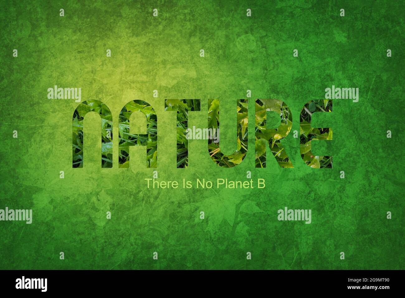Inscription text Nature, There Is No Planet B on an abstract green ...
