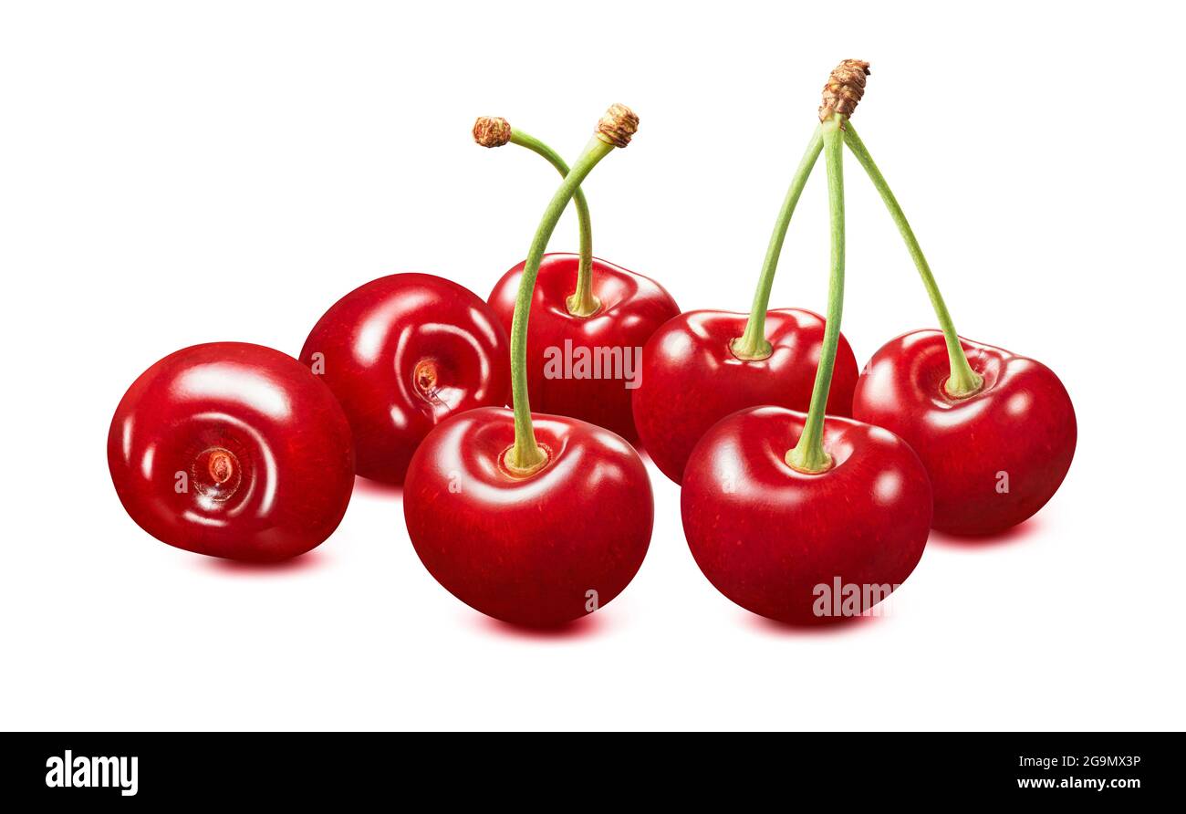 Long pile Cut Out Stock Images & Pictures - Alamy