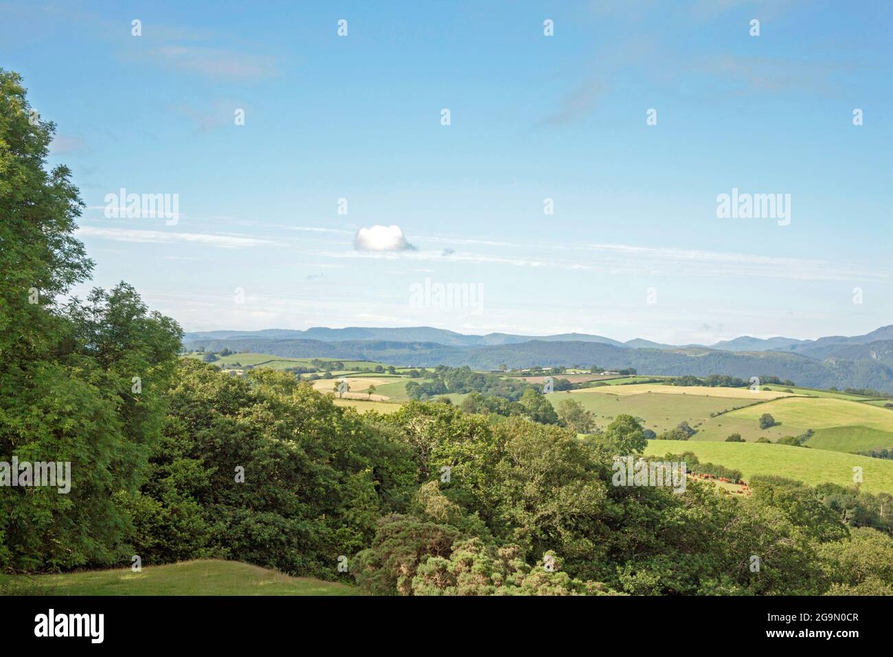 Summer morning the Conwy Valley viewed from hills above the village of ...