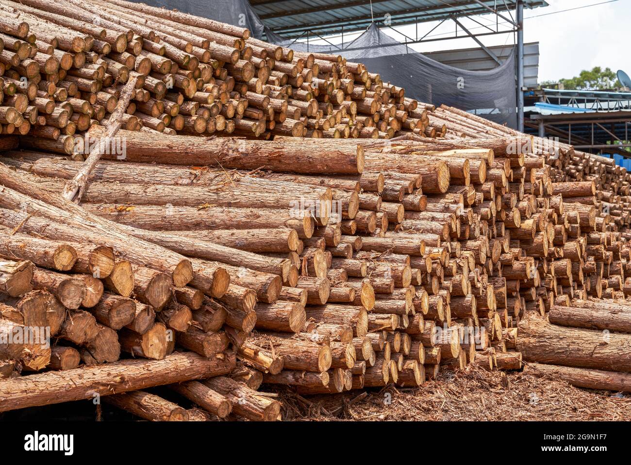 Timber piled in a lumber yard, dry wood material Stock Photo - Alamy