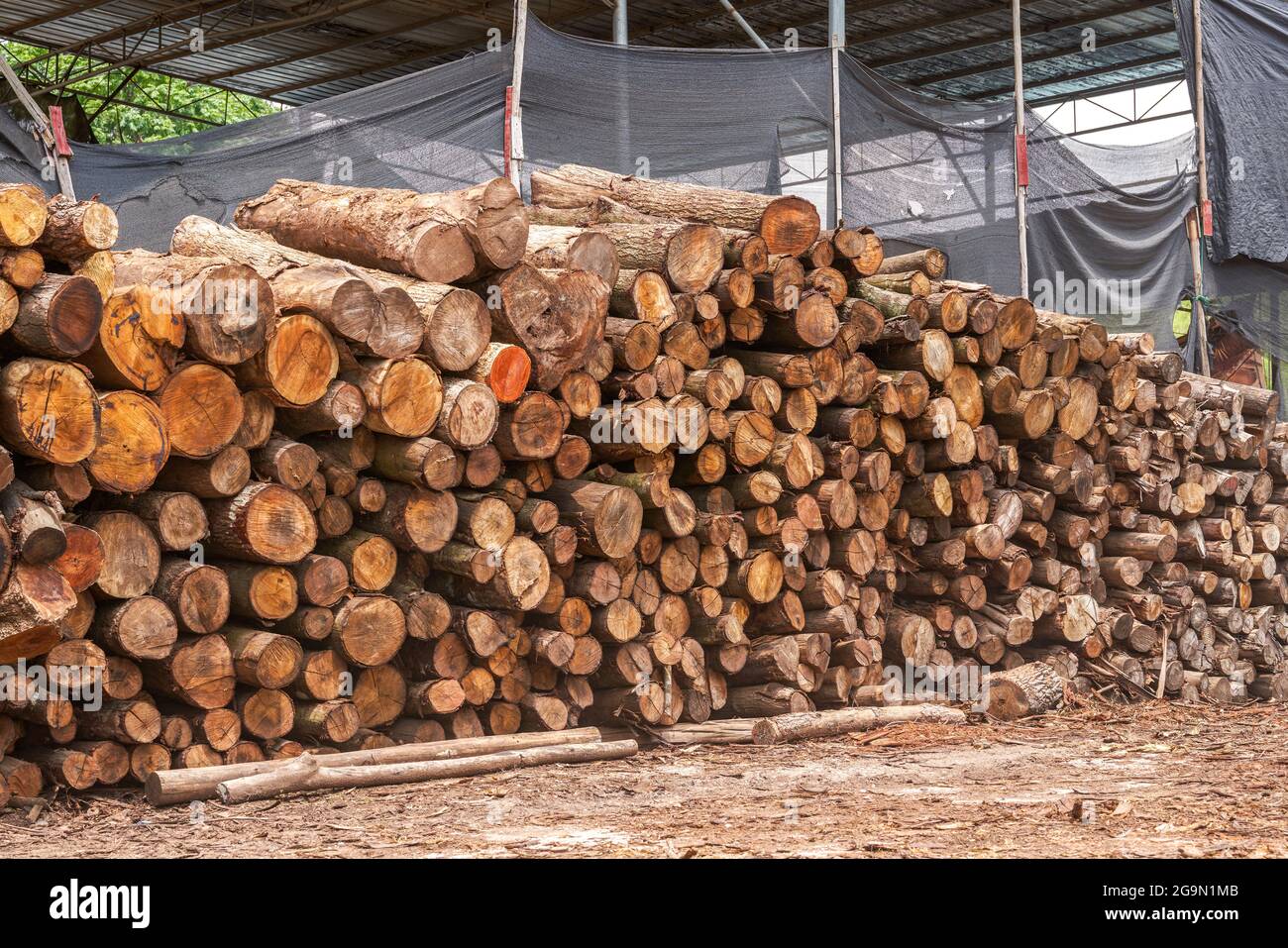 Timber piled in a lumber yard, dry wood material Stock Photo - Alamy
