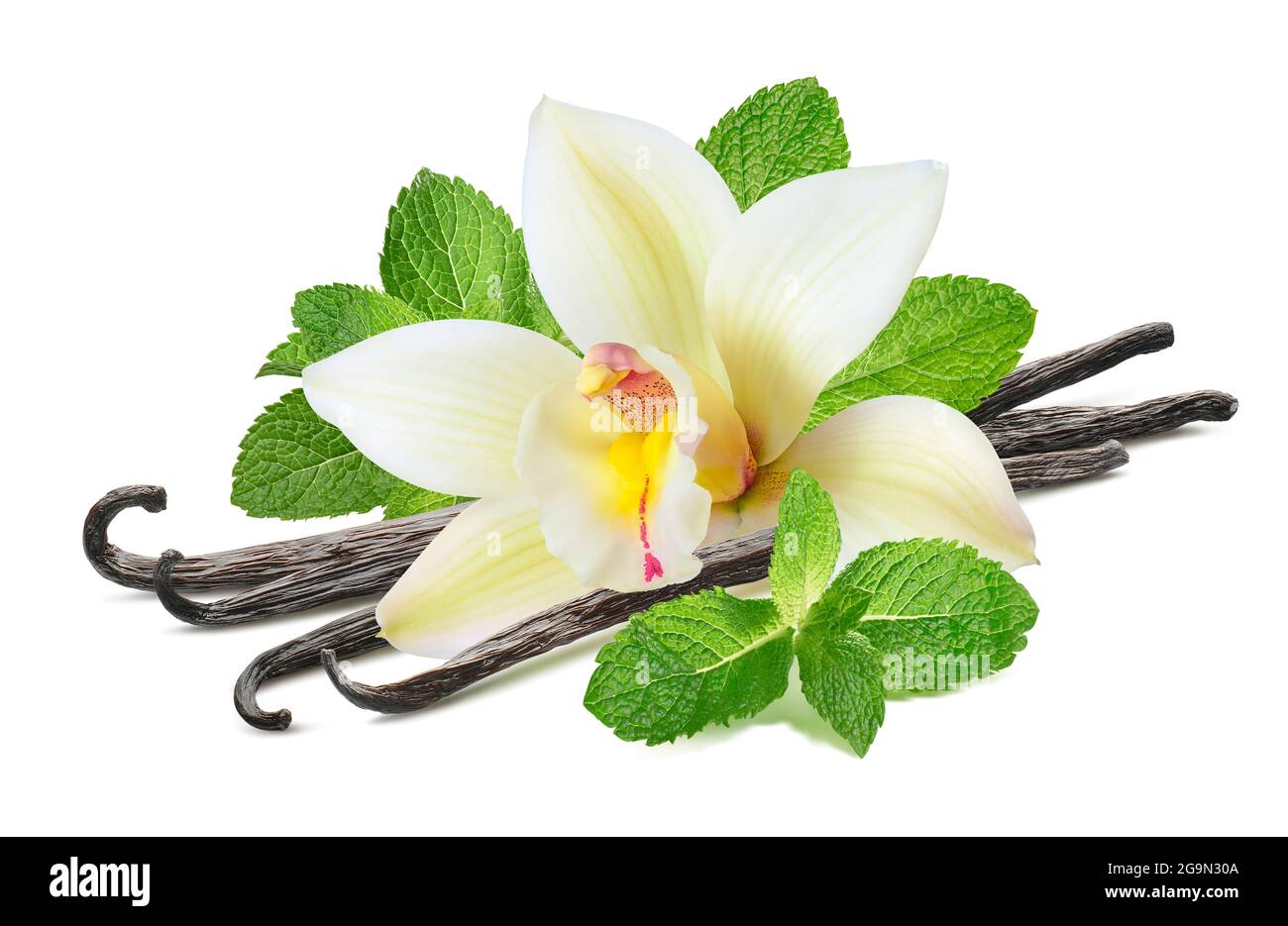 Vanilla icon hi-res stock photography and images - Alamy