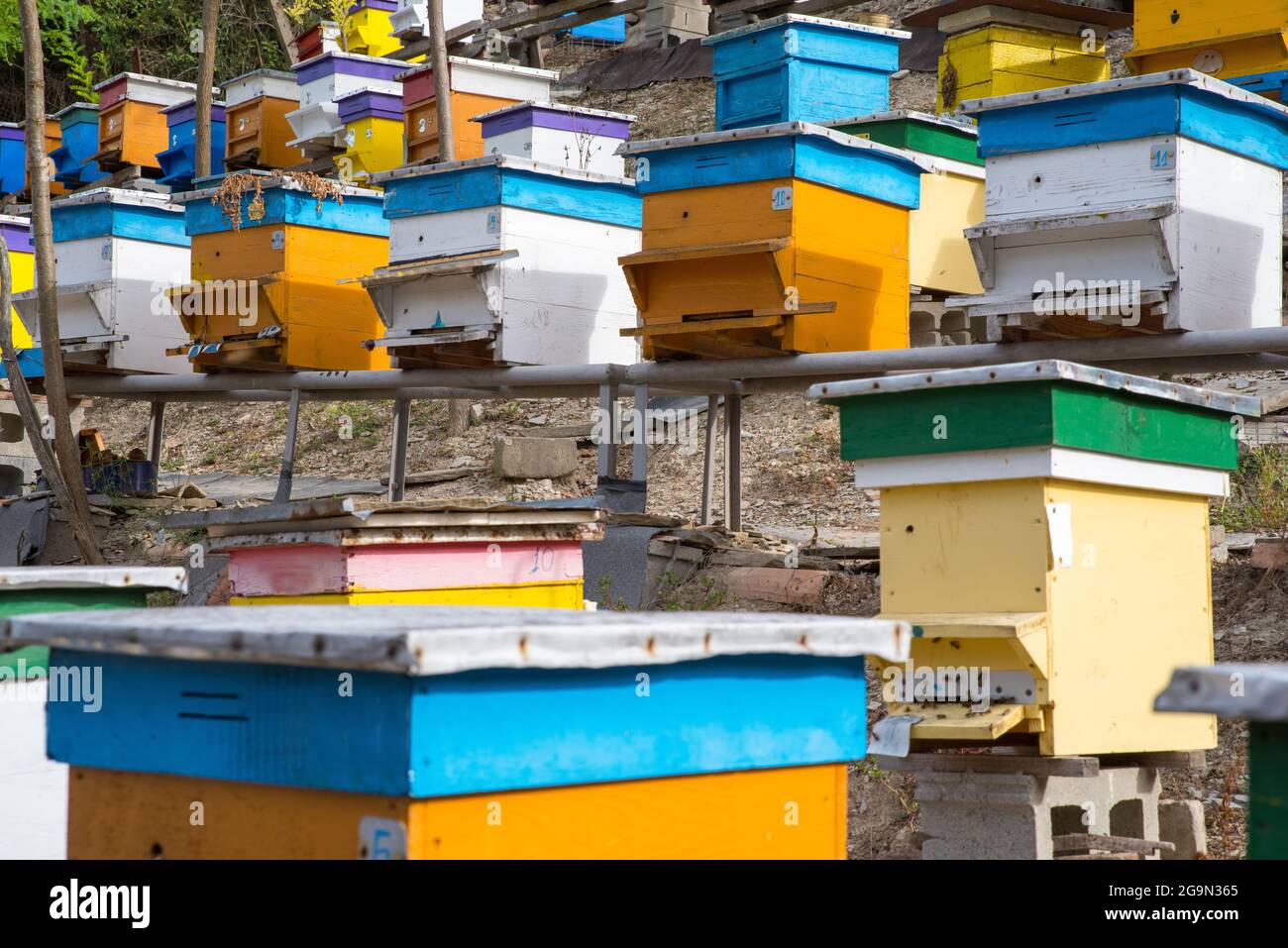 apiary on the southern slope Stock Photo - Alamy